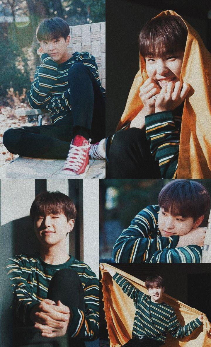 Hoshi Wallpapers - Top Free Hoshi Backgrounds - WallpaperAccess