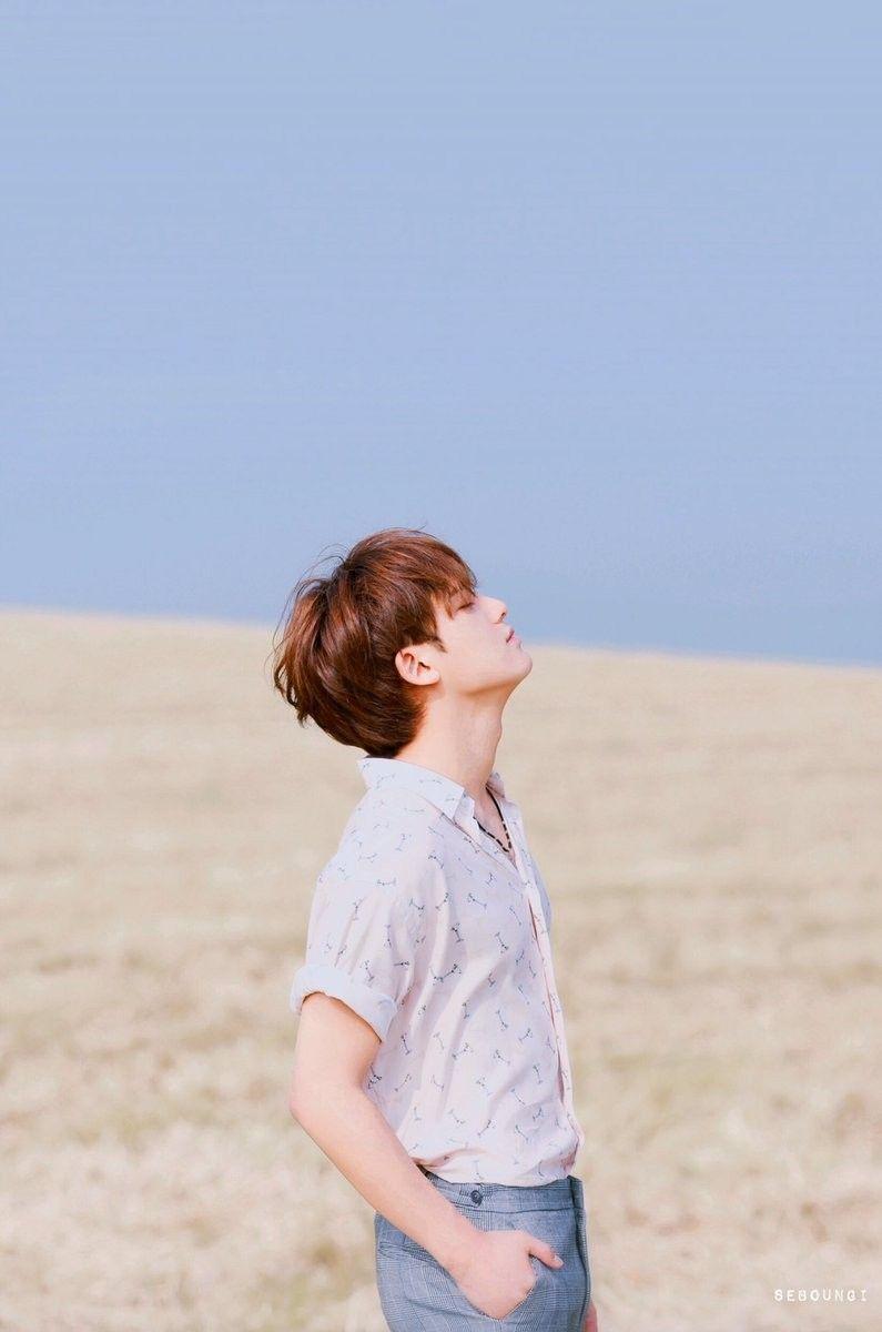 Hoshi Wallpapers - Top Free Hoshi Backgrounds - WallpaperAccess