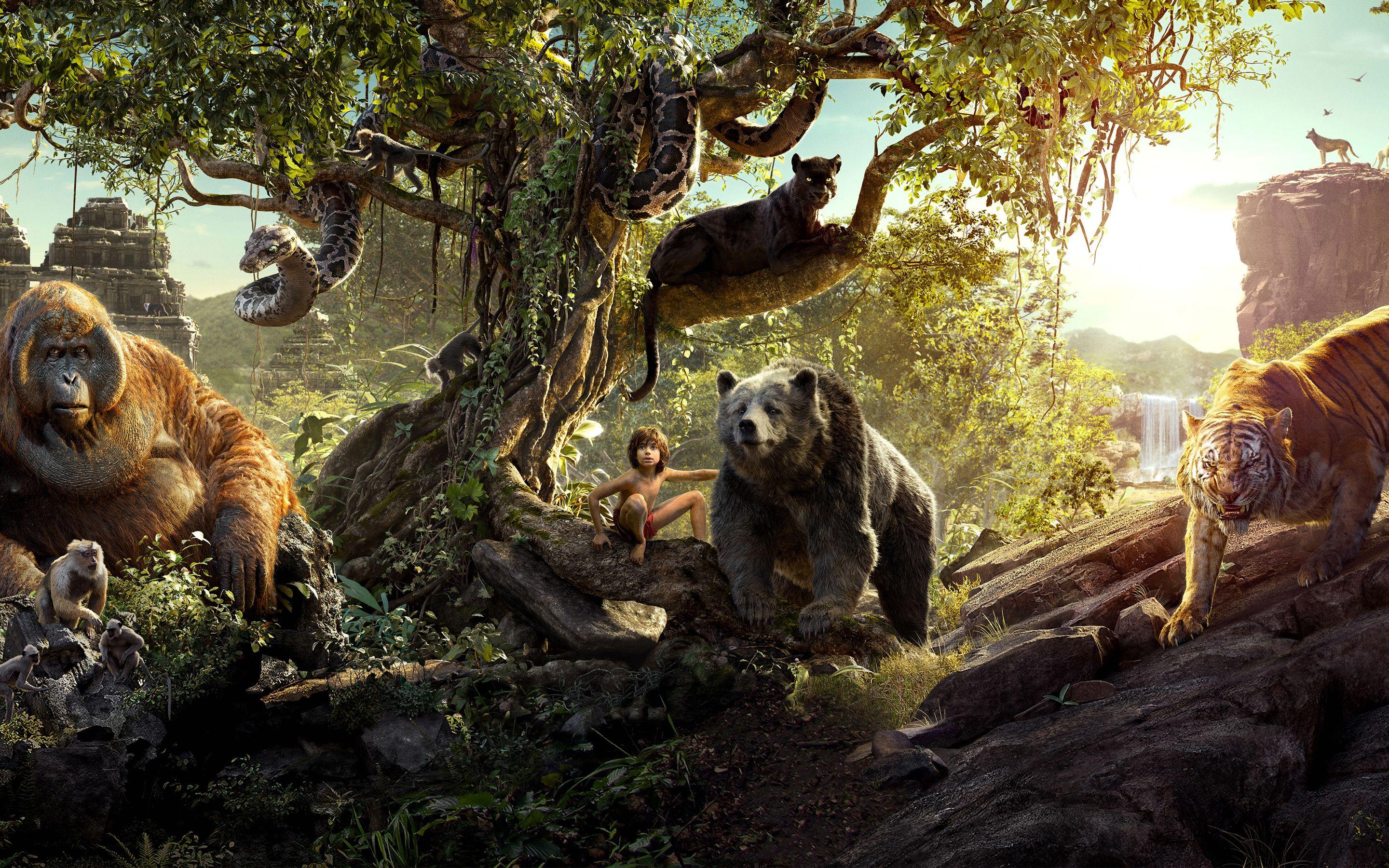 Mowgli Wallpapers - Top Free Mowgli Backgrounds - WallpaperAccess