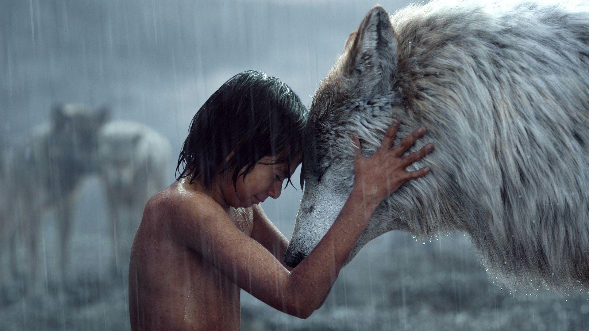 Mowgli Wallpapers - Top Free Mowgli Backgrounds - WallpaperAccess