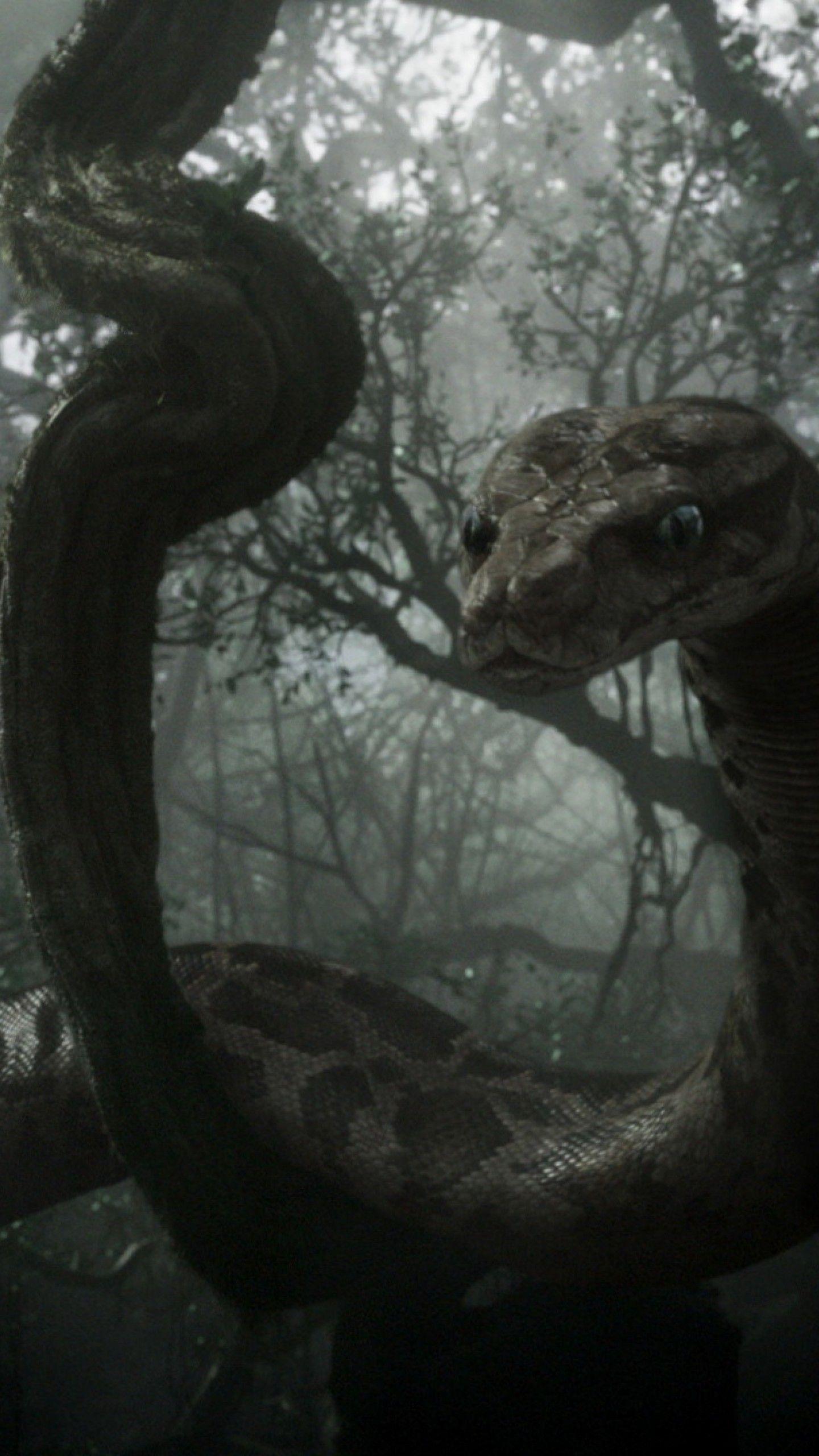 Mowgli Wallpapers - Top Free Mowgli Backgrounds - WallpaperAccess