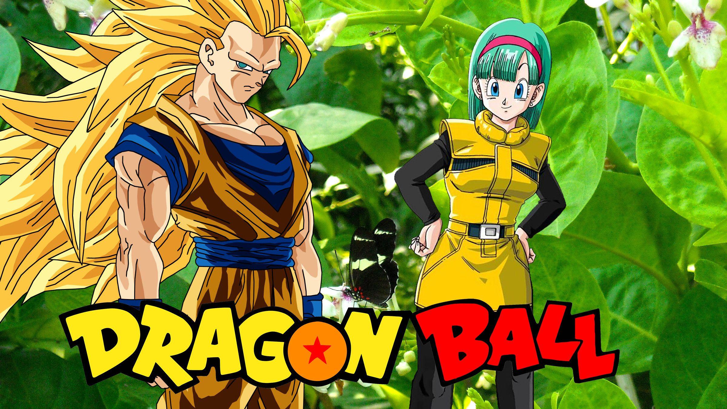 Bulma Wallpapers - Top Free Bulma Backgrounds - WallpaperAccess