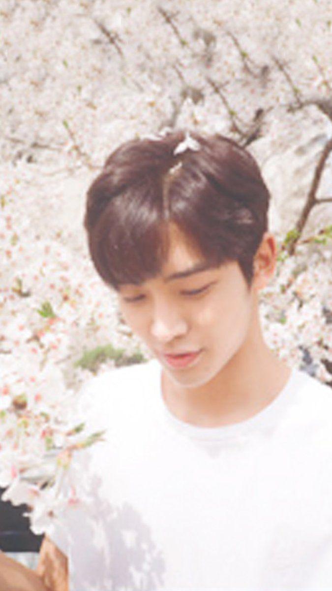 Rowoon Wallpapers - Top Free Rowoon Backgrounds - WallpaperAccess