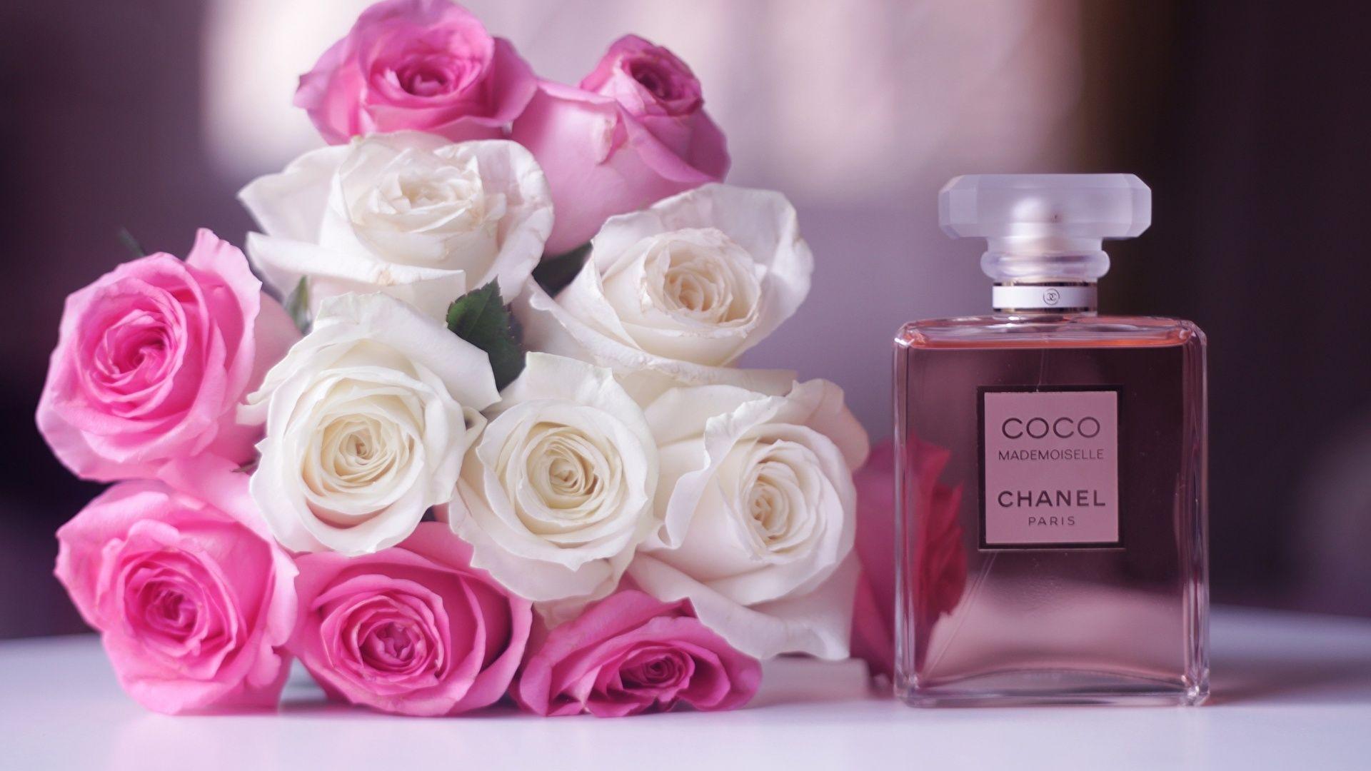Pink Chanel Desktop Wallpapers - Top Free Pink Chanel Desktop ...
