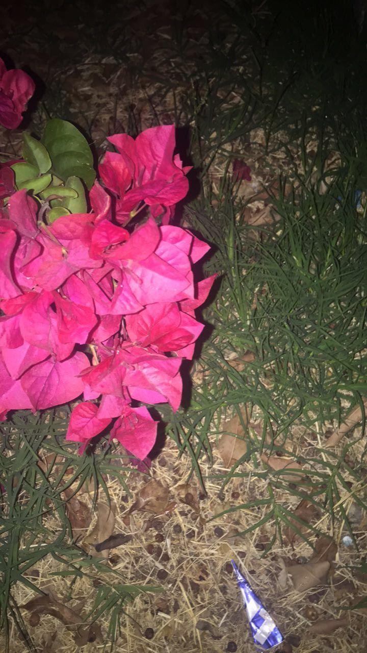 Trill HD Wallpapers - Top Free Trill HD Backgrounds - WallpaperAccess