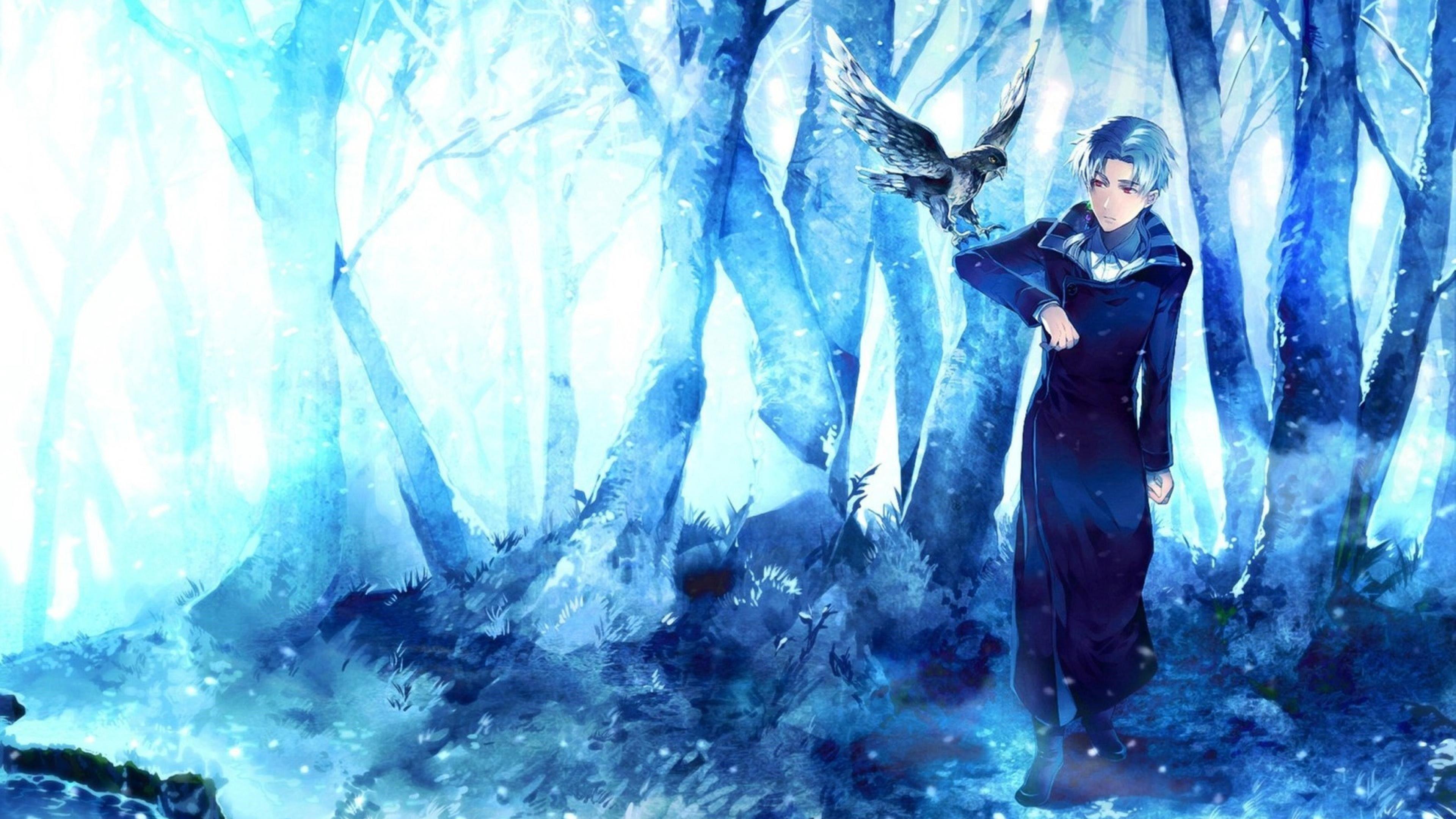 Anime Birds Wallpapers - Top Free Anime Birds Backgrounds - WallpaperAccess