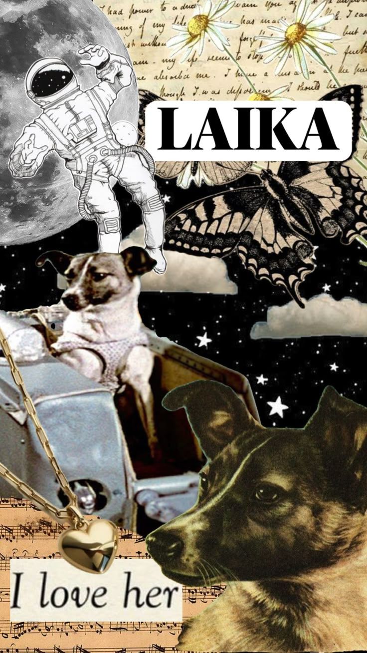 Laika Wallpapers - Top Free Laika Backgrounds - WallpaperAccess