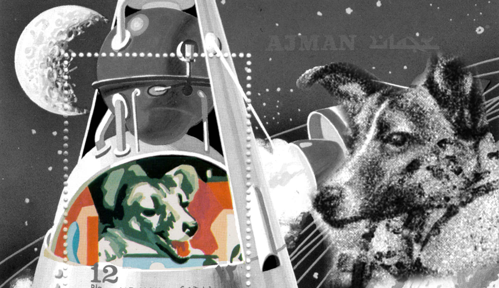 Laika Wallpapers - Top Free Laika Backgrounds - WallpaperAccess