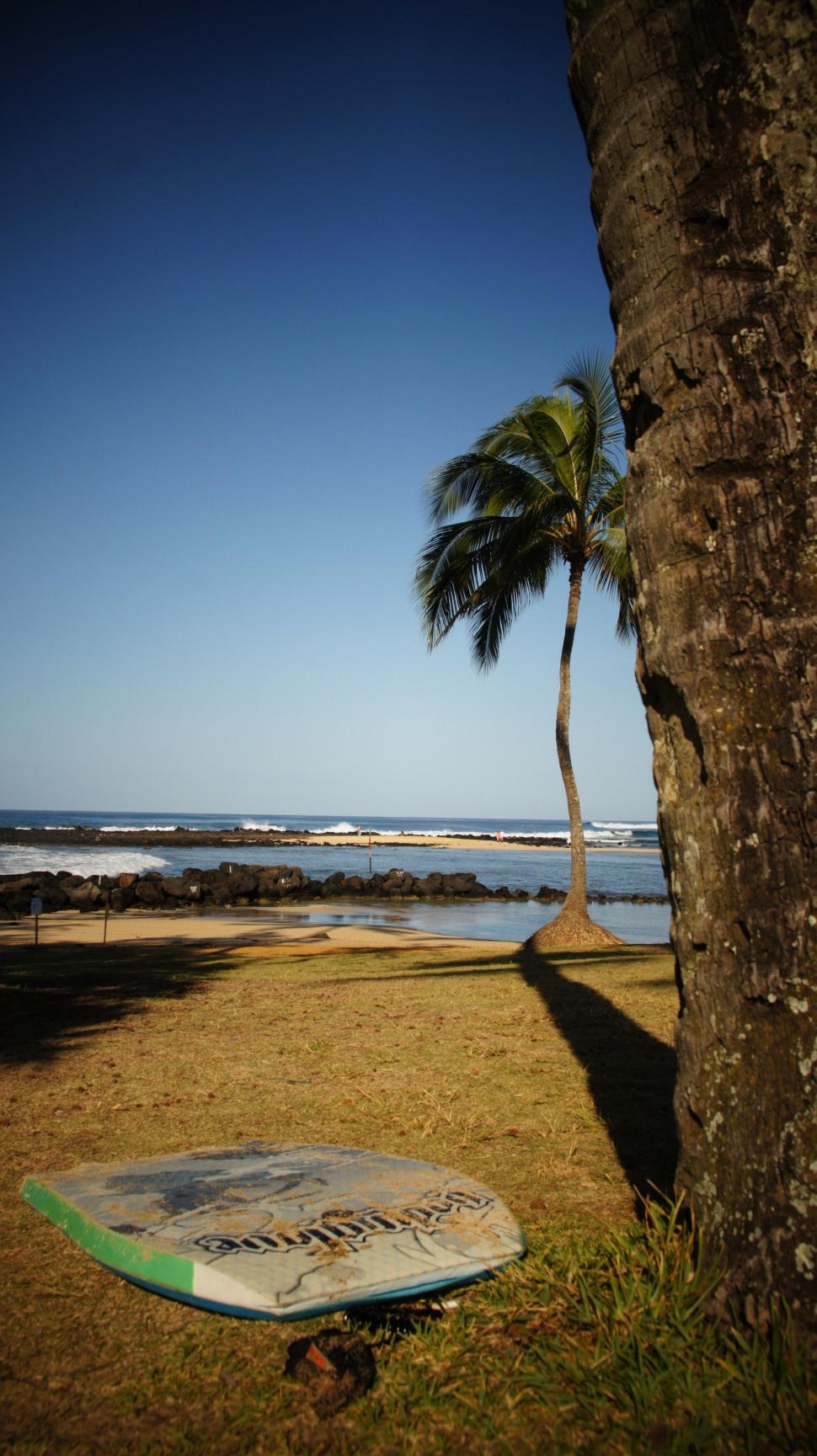 Surf Board Wallpapers - Top Free Surf Board Backgrounds - WallpaperAccess