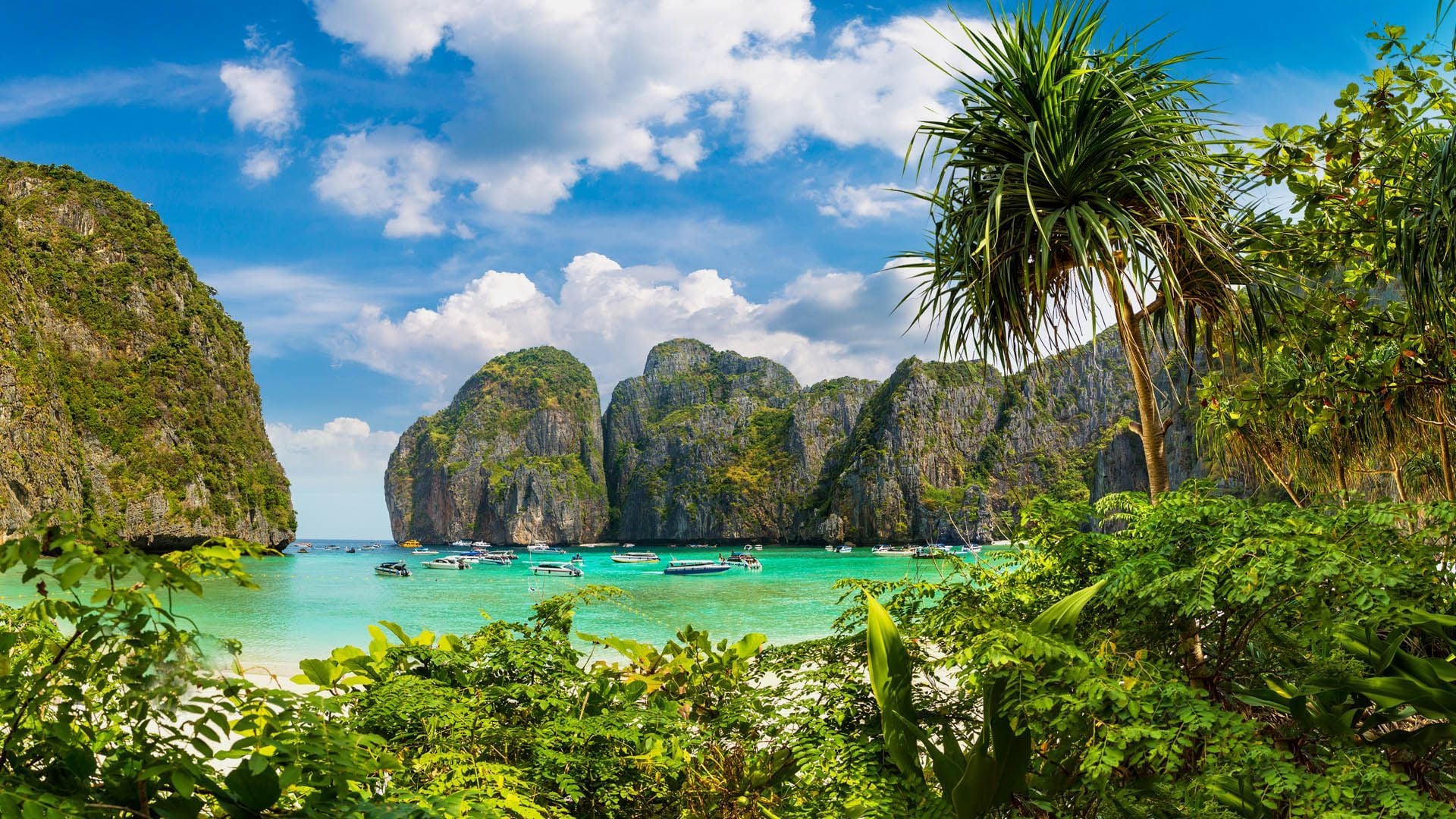 Maya Bay Wallpapers - Top Free Maya Bay Backgrounds - WallpaperAccess