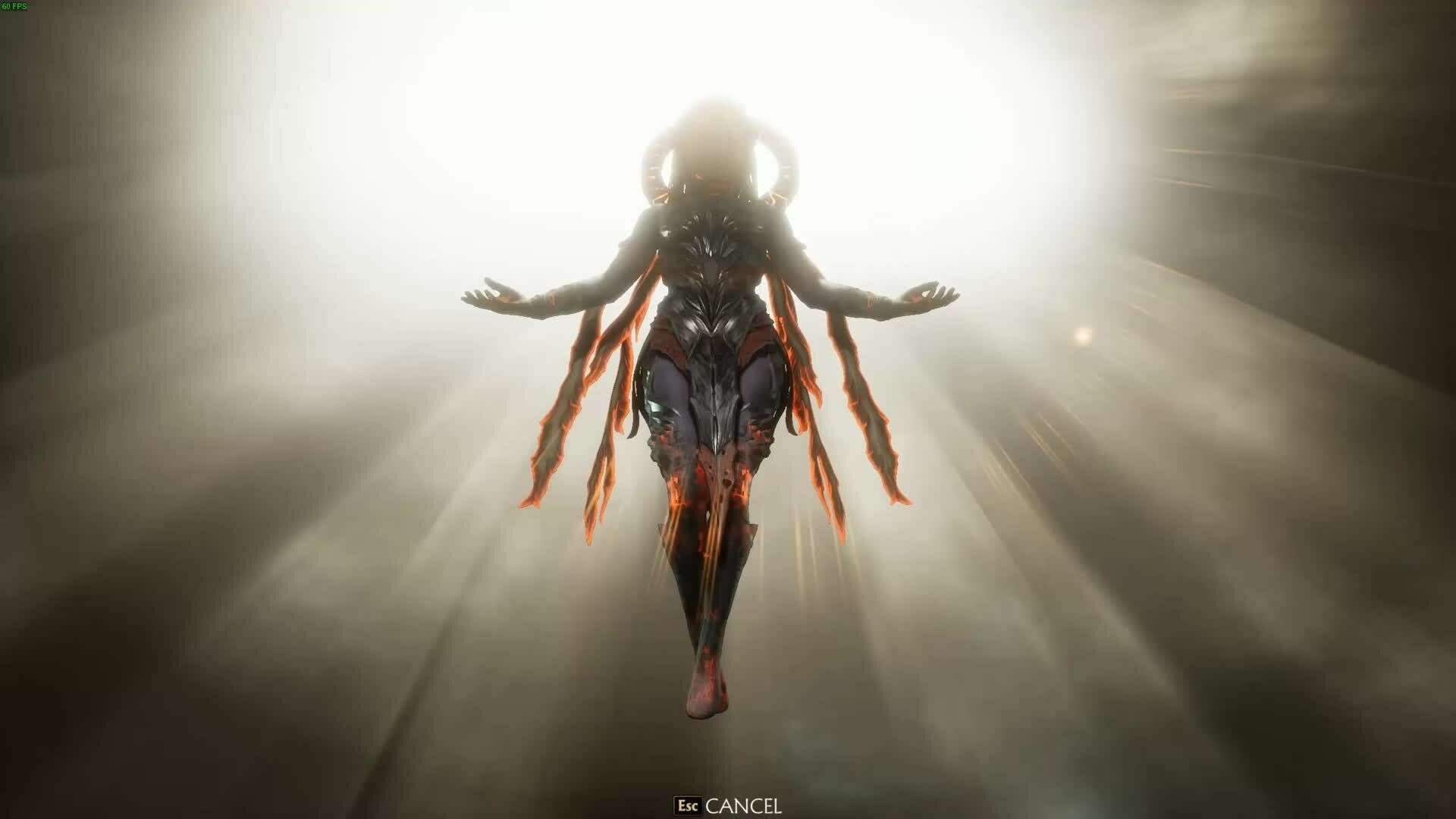Cetrion Wallpapers - Top Free Cetrion Backgrounds - WallpaperAccess