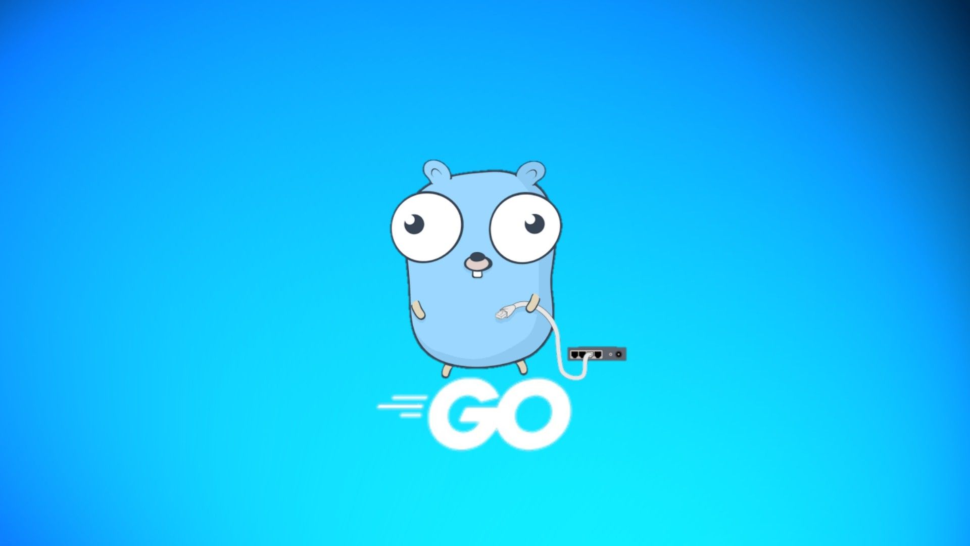 Go Language Wallpapers - Top Free Go Language Backgrounds - WallpaperAccess