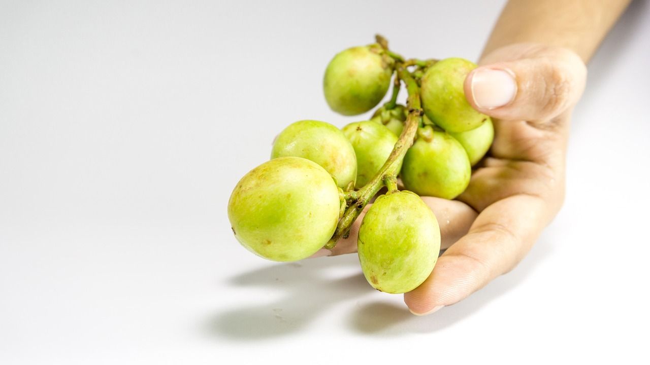 Duku Fruit Wallpapers - Top Free Duku Fruit Backgrounds - WallpaperAccess
