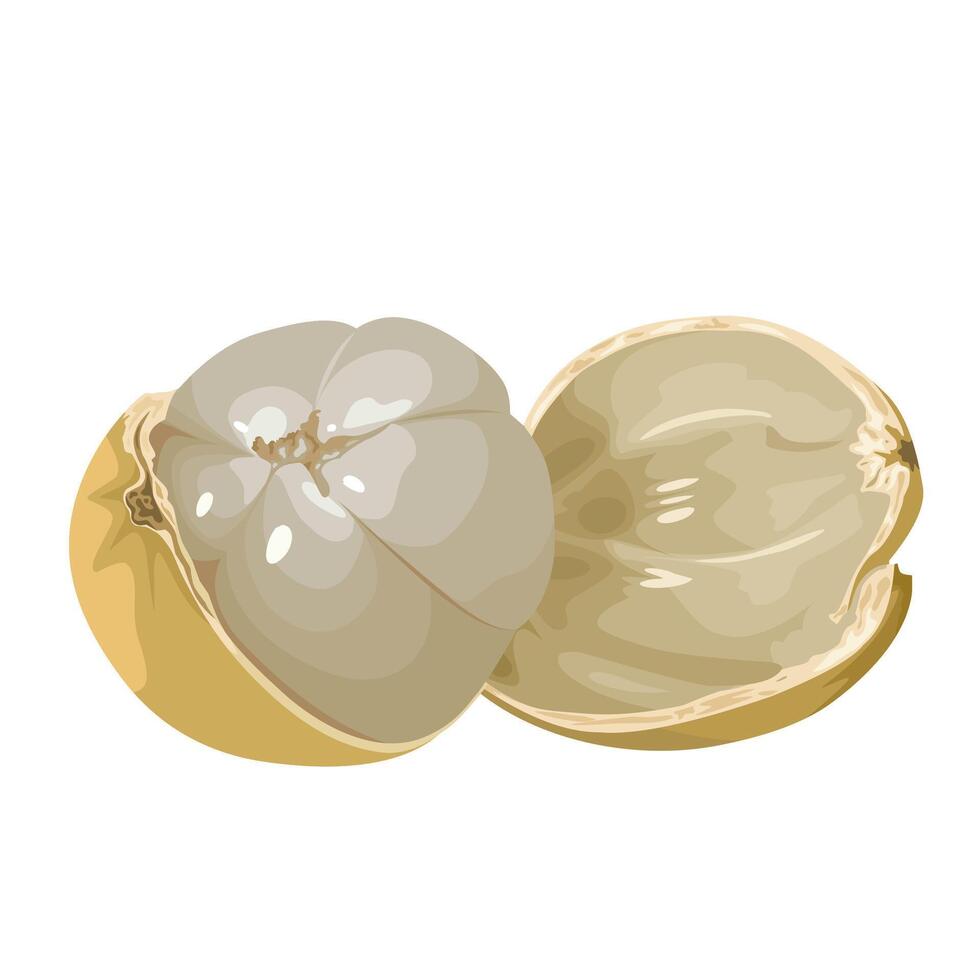 Duku Fruit Wallpapers - Top Free Duku Fruit Backgrounds - WallpaperAccess