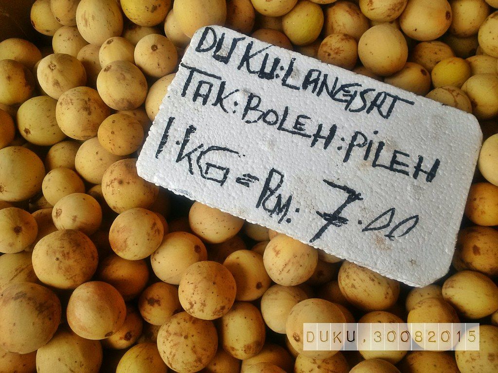 Duku Fruit Wallpapers - Top Free Duku Fruit Backgrounds - WallpaperAccess