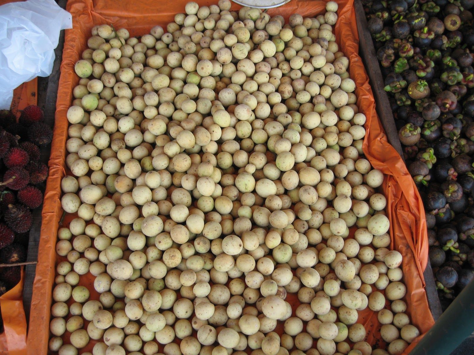 Duku Fruit Wallpapers - Top Free Duku Fruit Backgrounds - WallpaperAccess