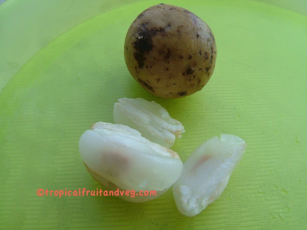 Duku Fruit Wallpapers - Top Free Duku Fruit Backgrounds - WallpaperAccess