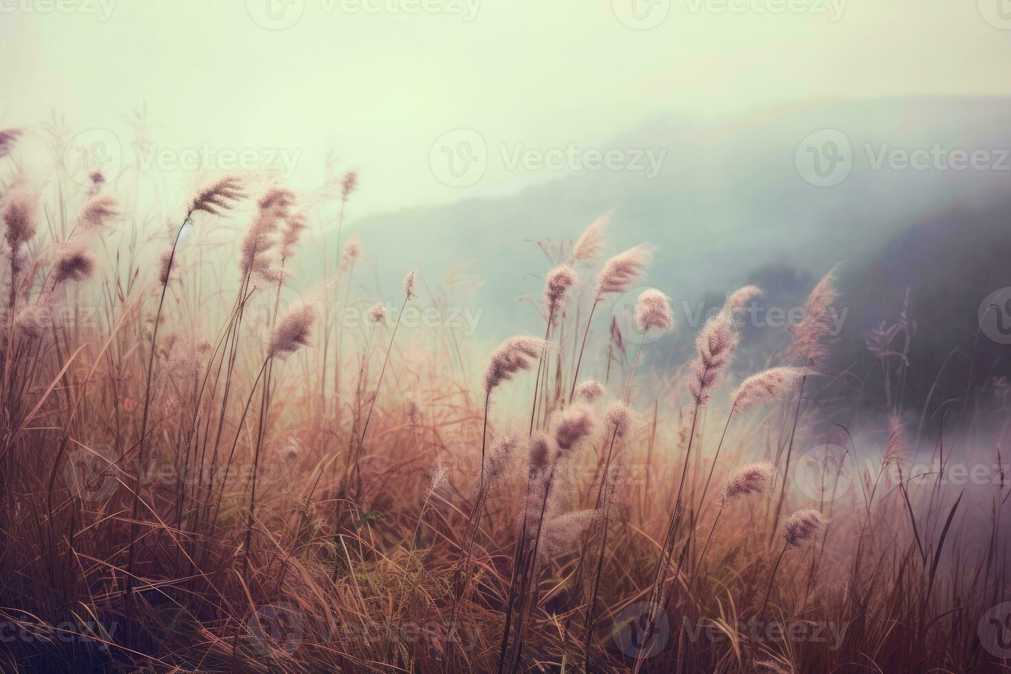 Retro Nature Wallpapers - Top Free Retro Nature Backgrounds ...