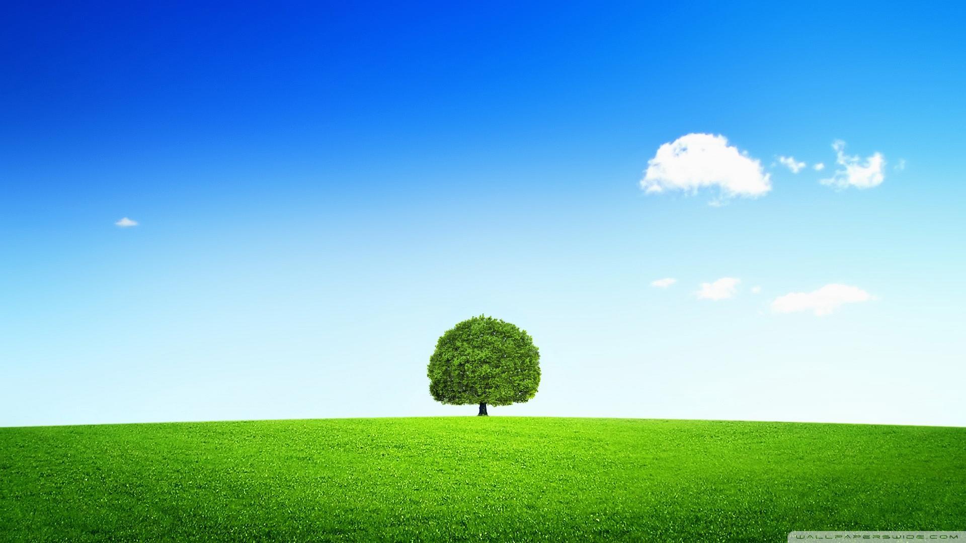 Tree Alone Wallpapers - Top Free Tree Alone Backgrounds - WallpaperAccess