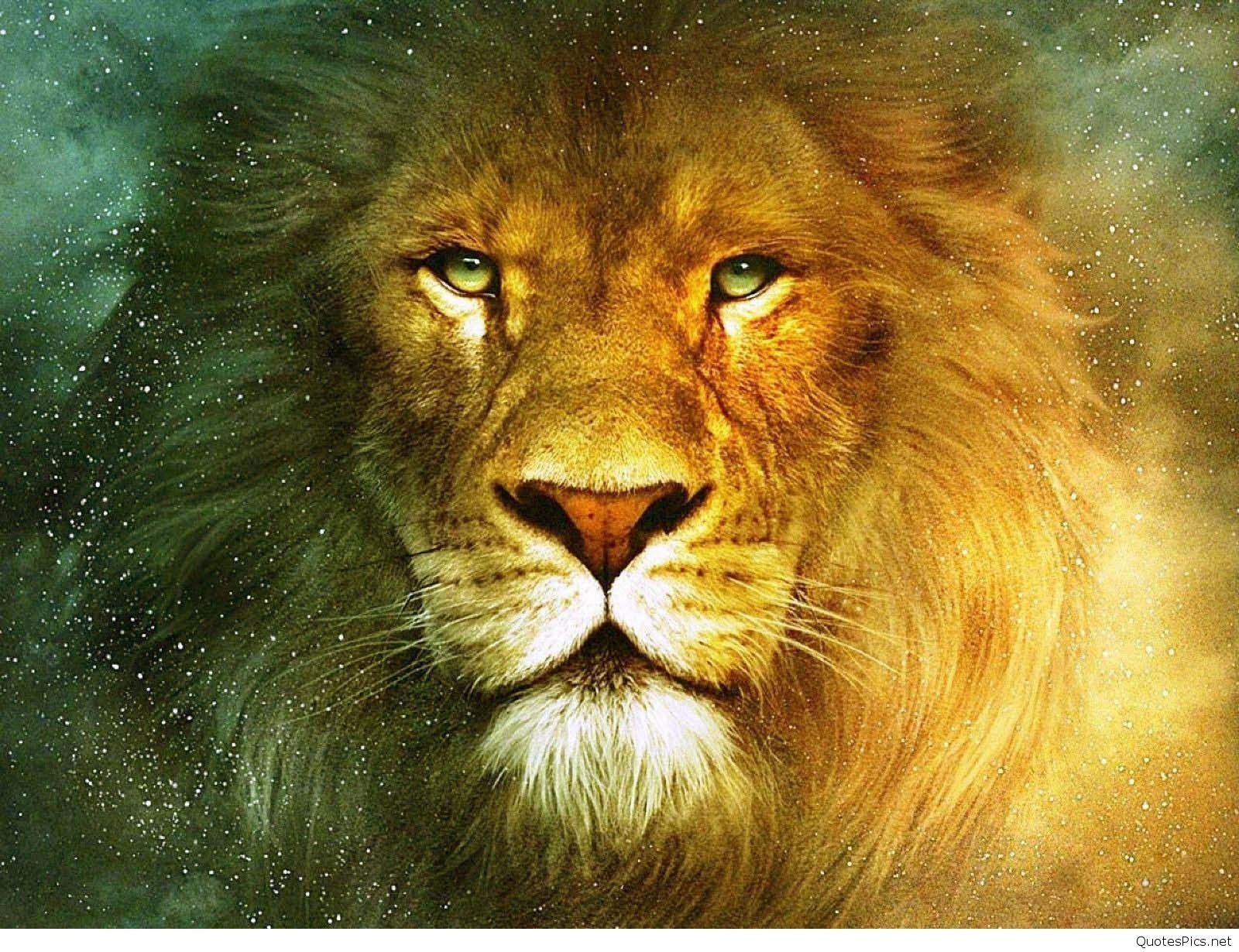 Awesome Lion Wallpapers - Top Free Awesome Lion Backgrounds ...