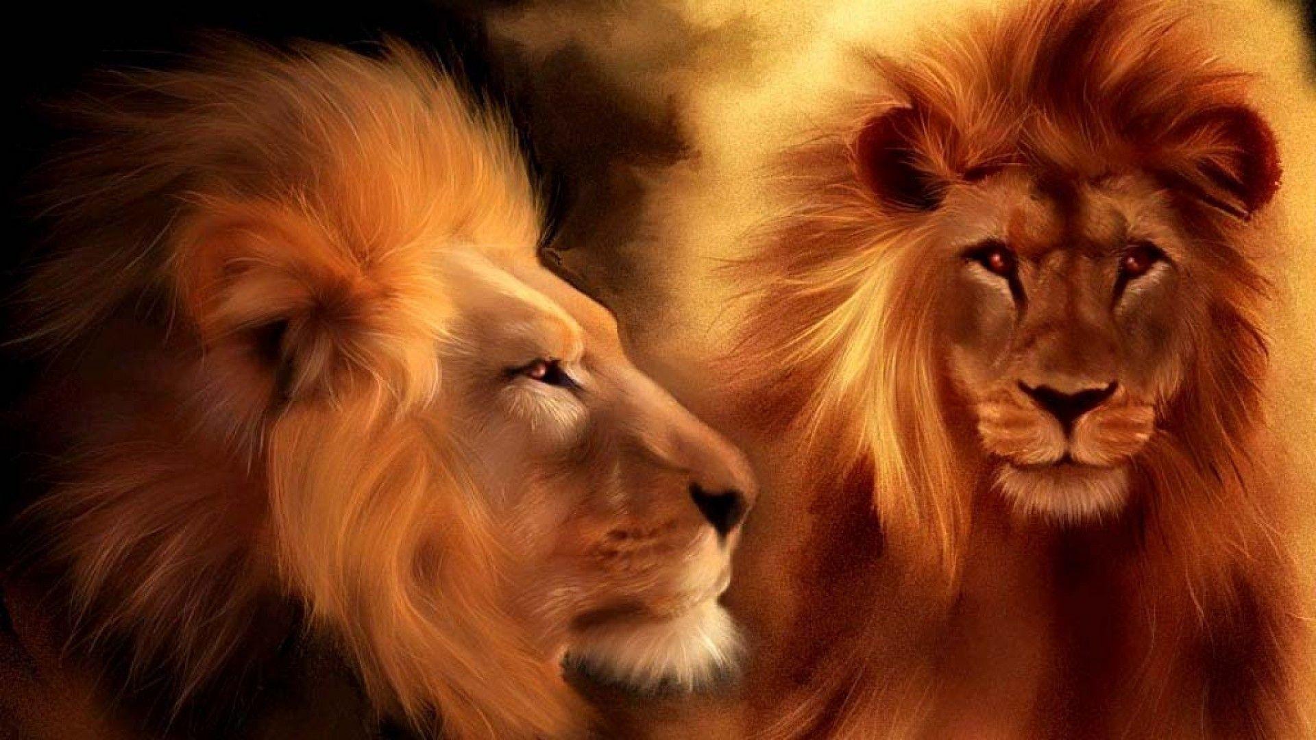 Awesome Lion Wallpapers - Top Free Awesome Lion Backgrounds ...