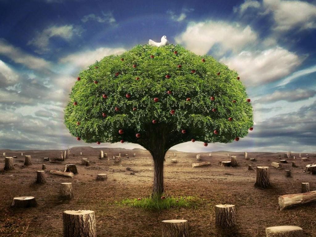 Tree Alone Wallpapers - Top Free Tree Alone Backgrounds - WallpaperAccess