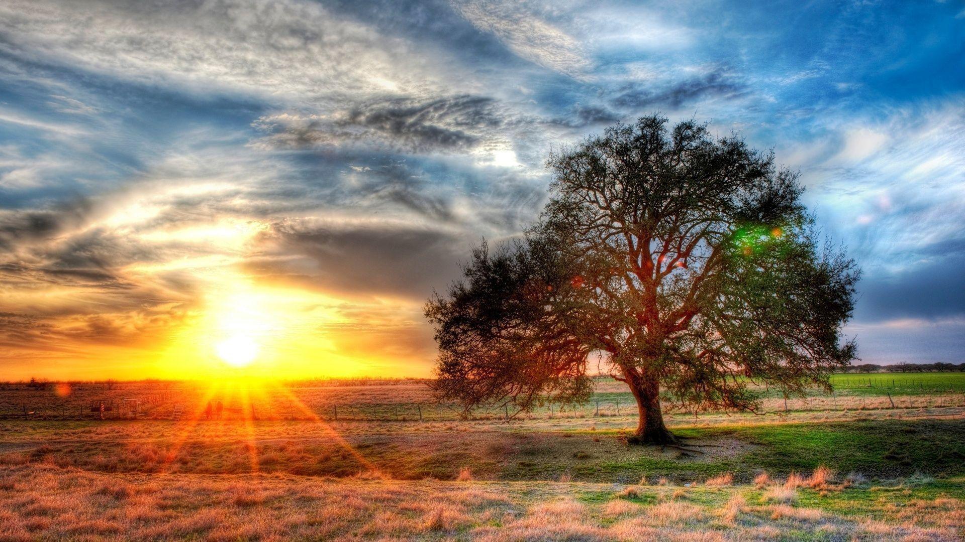 Texas Desktop Wallpapers - Top Free Texas Desktop Backgrounds ...