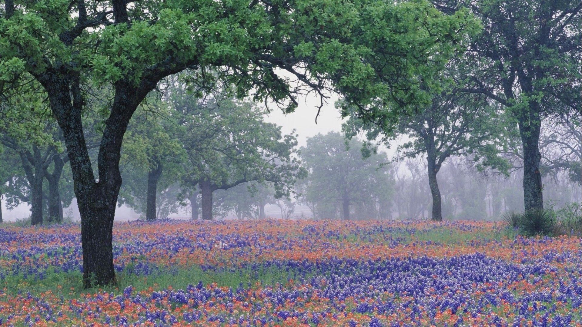 Texas Desktop Wallpapers - Top Free Texas Desktop Backgrounds ...