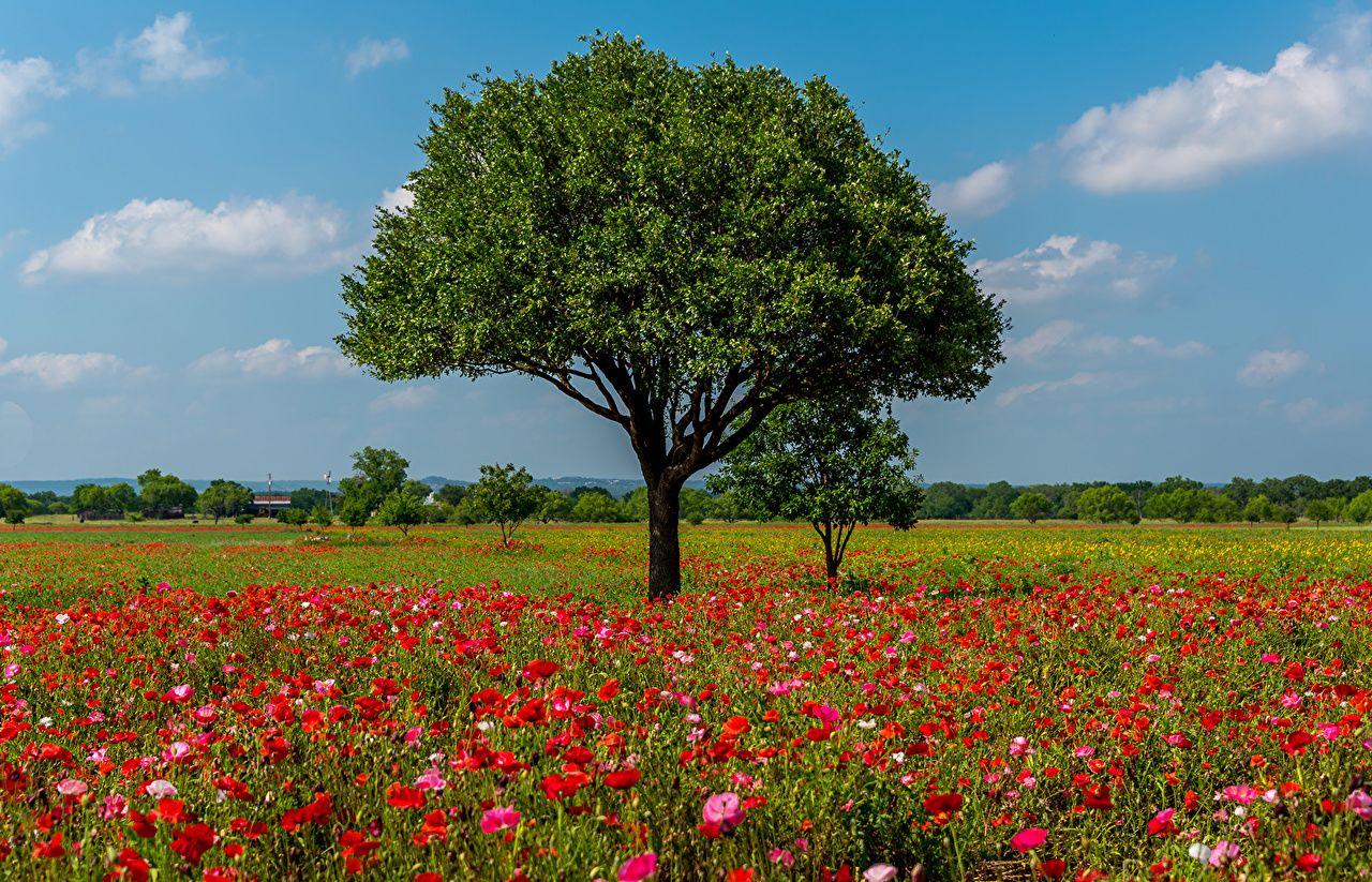 Texas Desktop Wallpapers - Top Free Texas Desktop Backgrounds ...