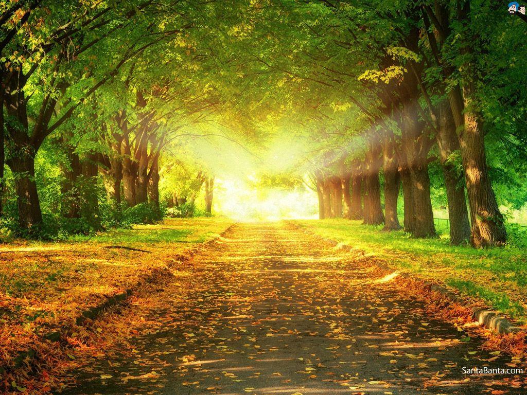 3D Road Wallpapers - Top Free 3D Road Backgrounds - WallpaperAccess