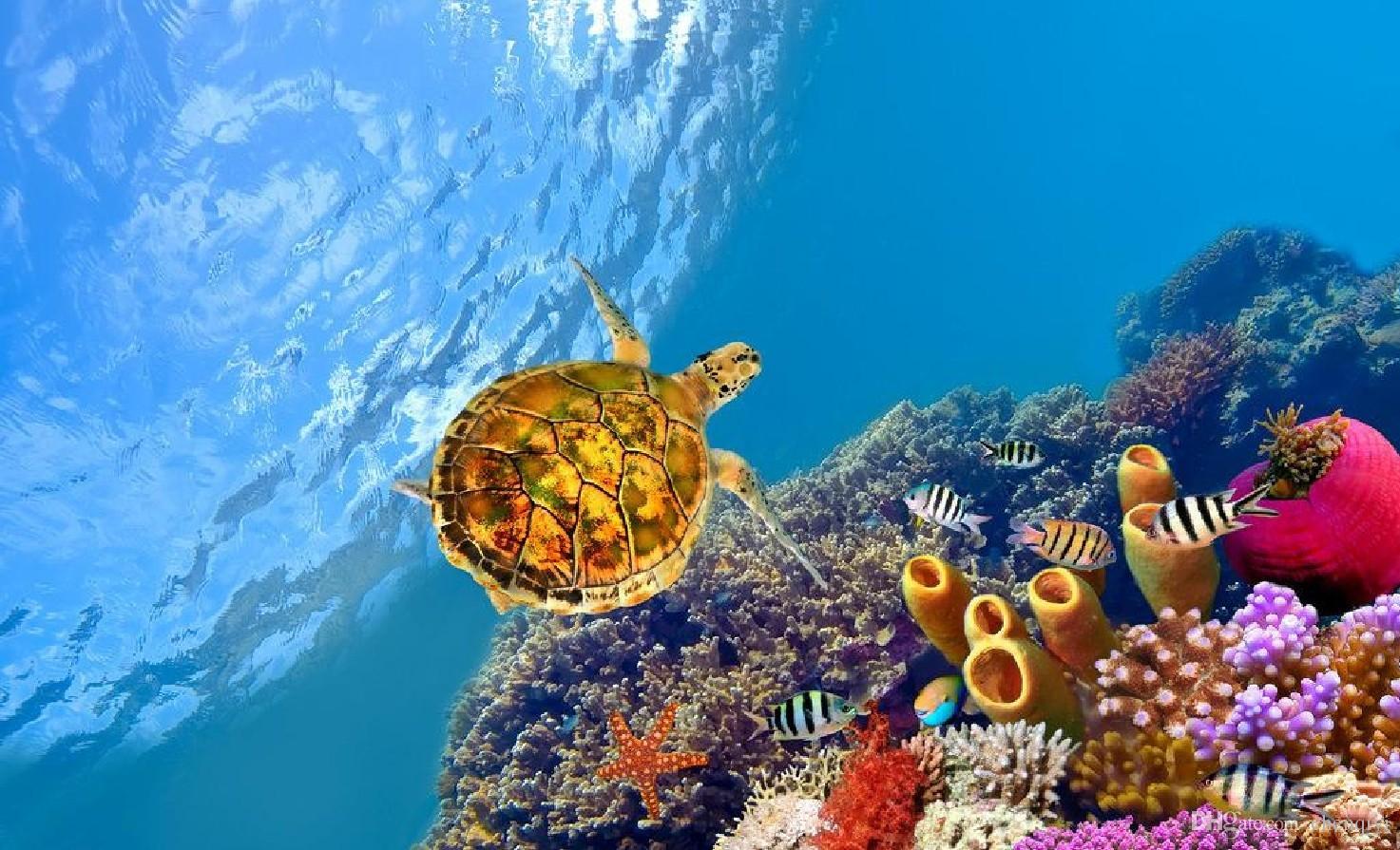 3D Cartoon Turtle Wallpapers - Top Free 3D Cartoon Turtle Backgrounds ...