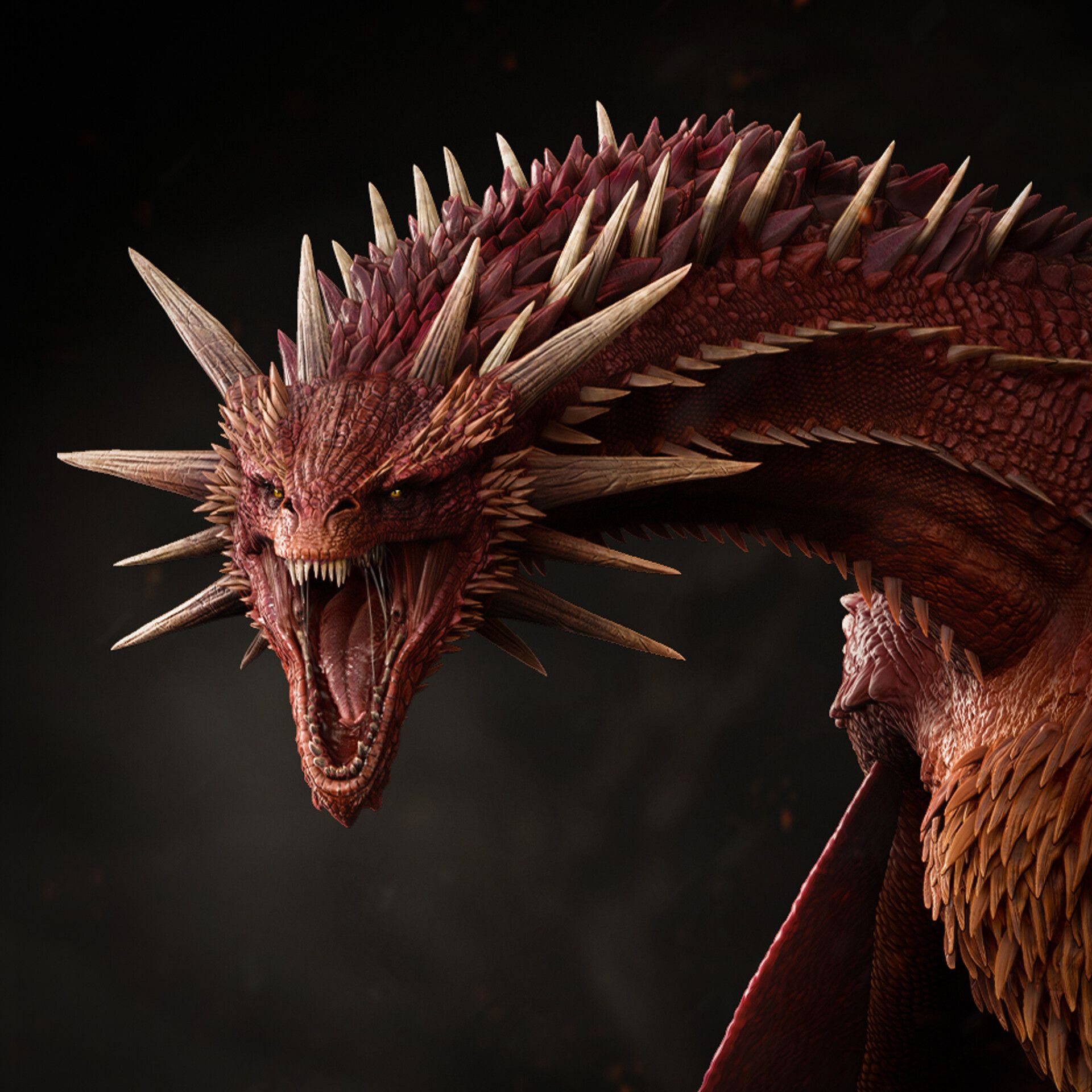 Meleys Wallpapers - Top Free Meleys Backgrounds - WallpaperAccess