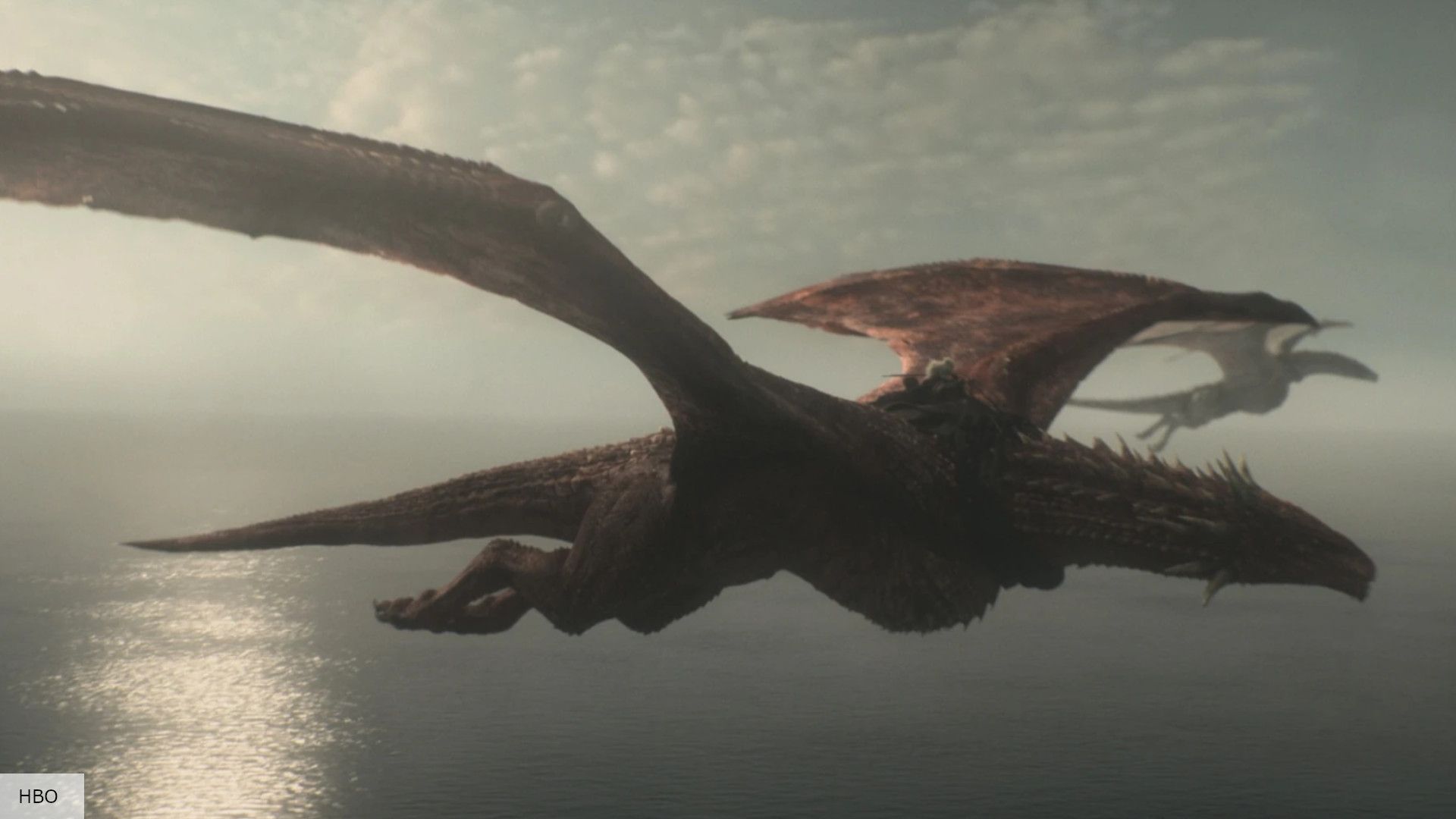 Meleys Wallpapers - Top Free Meleys Backgrounds - WallpaperAccess