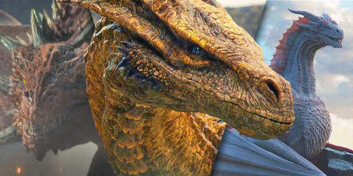 Meleys Wallpapers - Top Free Meleys Backgrounds - WallpaperAccess