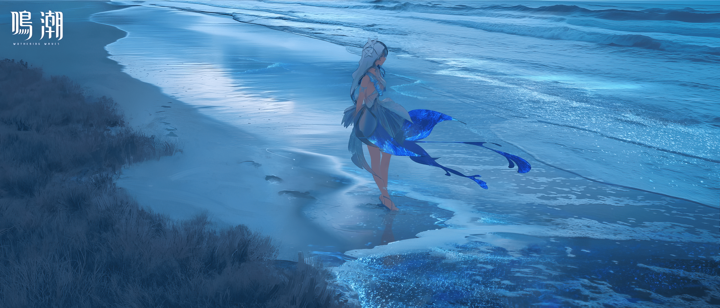 The Shorekeeper Wallpapers - Top Free The Shorekeeper Backgrounds ...