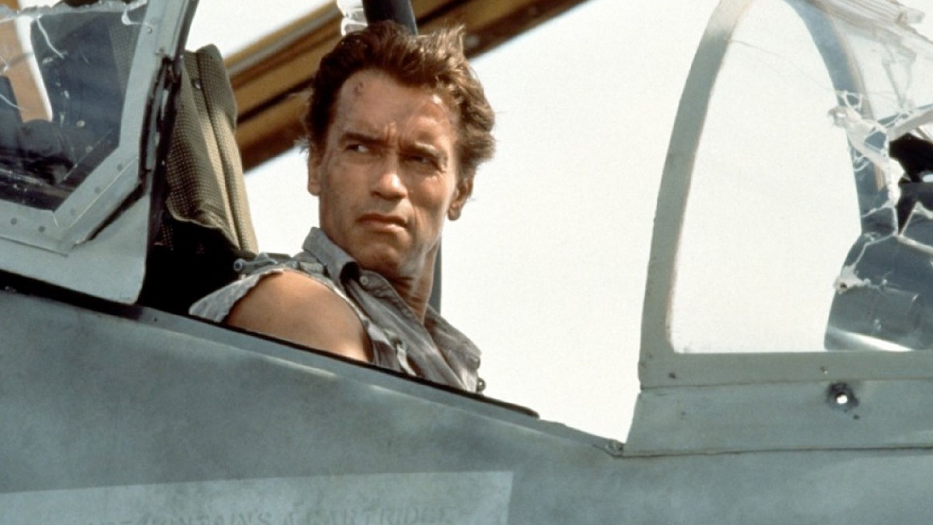 True Lies Wallpapers - Top Free True Lies Backgrounds - WallpaperAccess