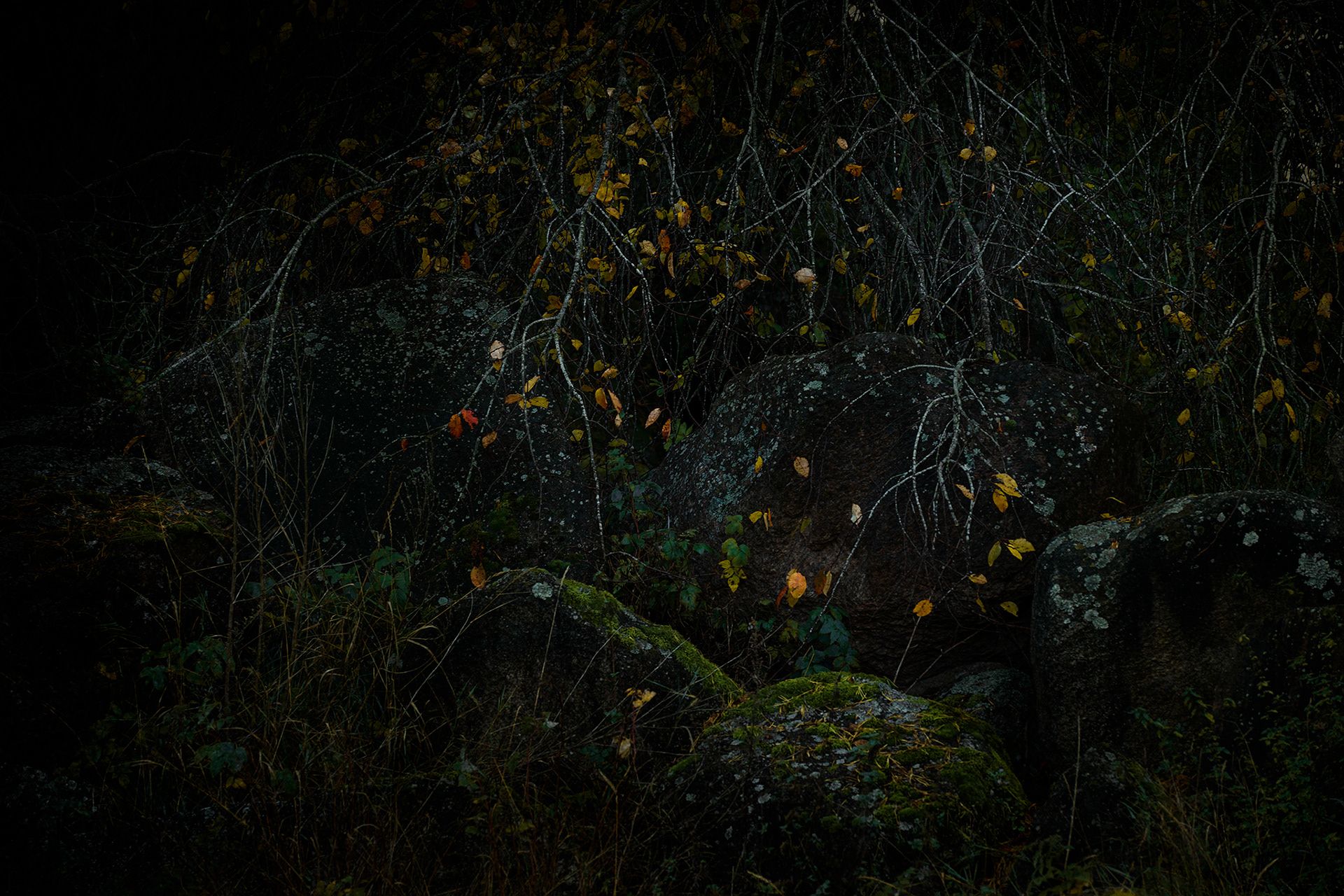 Grunge Fairycore Wallpapers - Top Free Grunge Fairycore Backgrounds ...