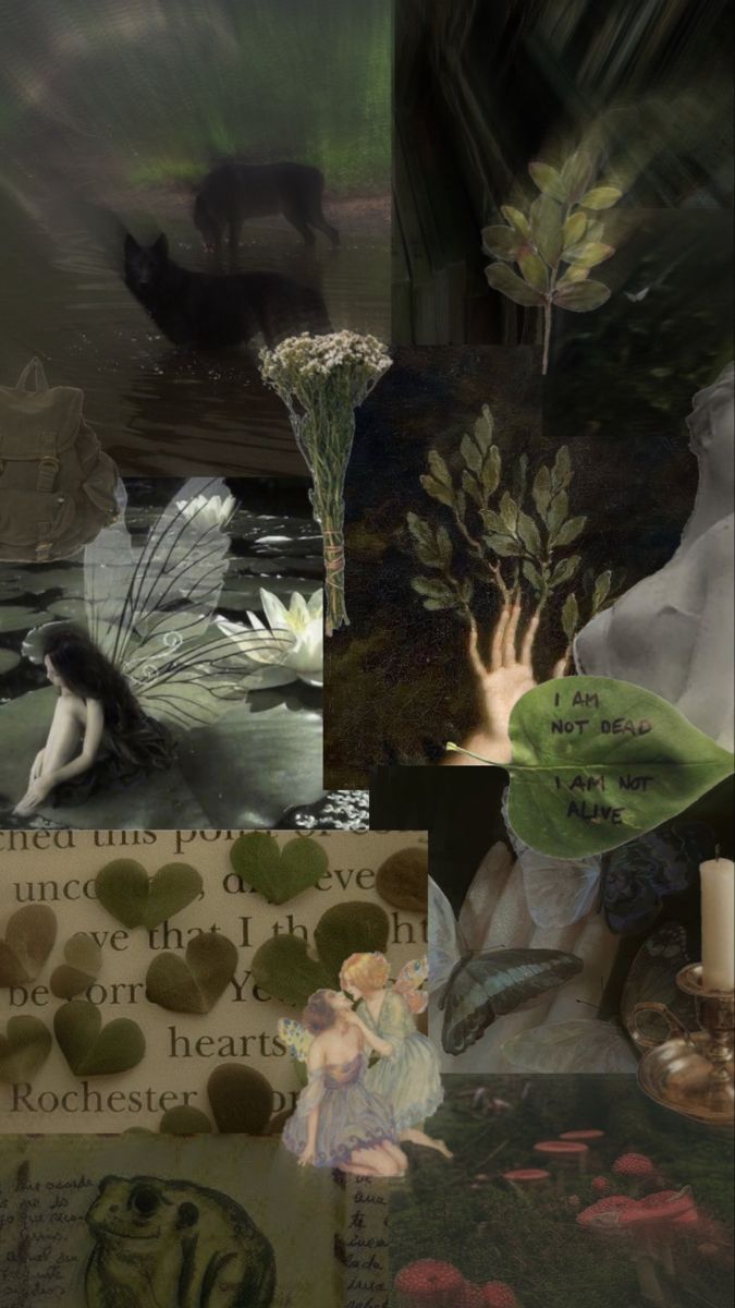 Grunge Fairycore Wallpapers - Top Free Grunge Fairycore Backgrounds ...