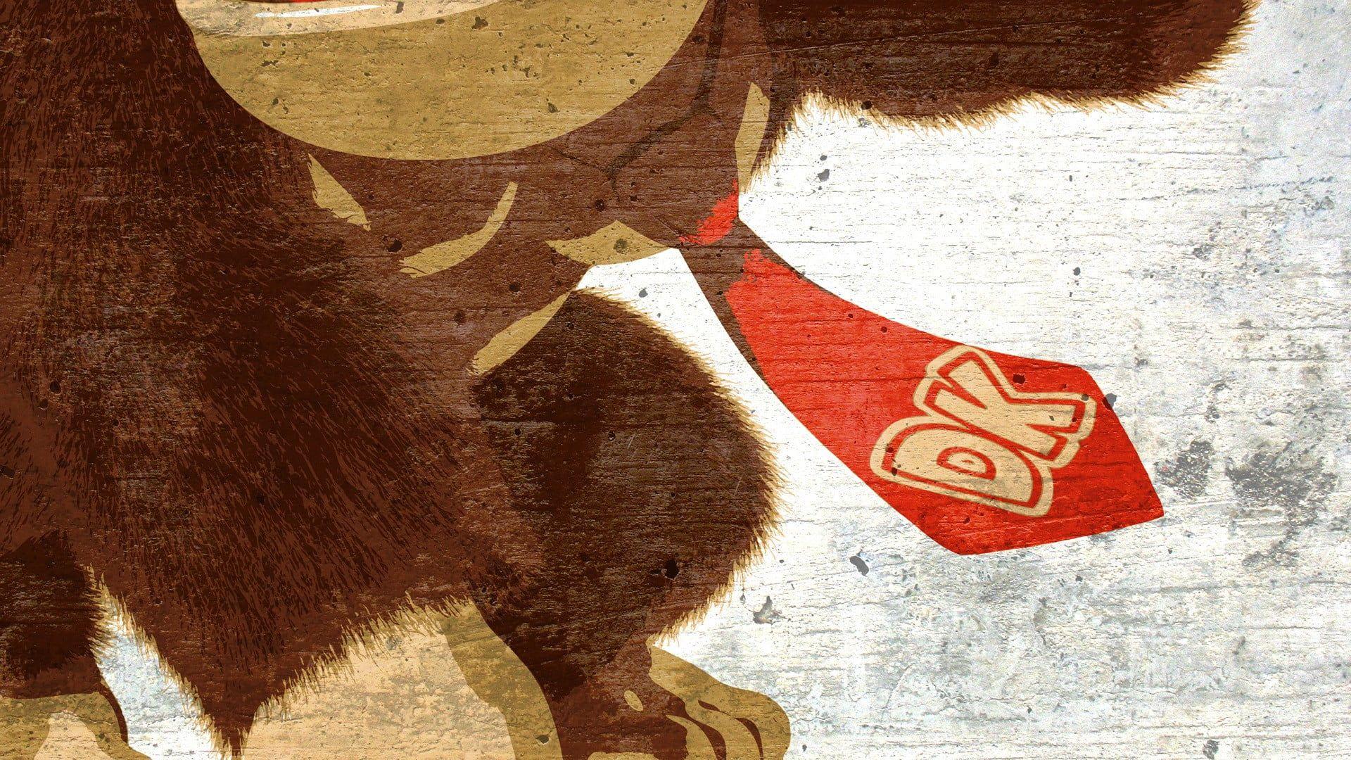 Donkey Kong Wallpapers - Top Free Donkey Kong Backgrounds - WallpaperAccess