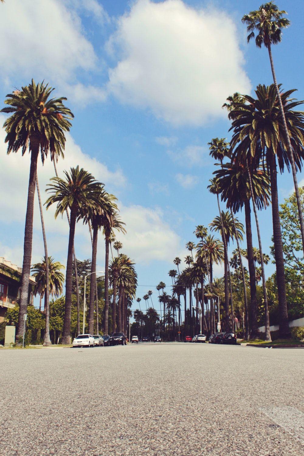 Rodeo Drive Wallpapers - Top Free Rodeo Drive Backgrounds - WallpaperAccess