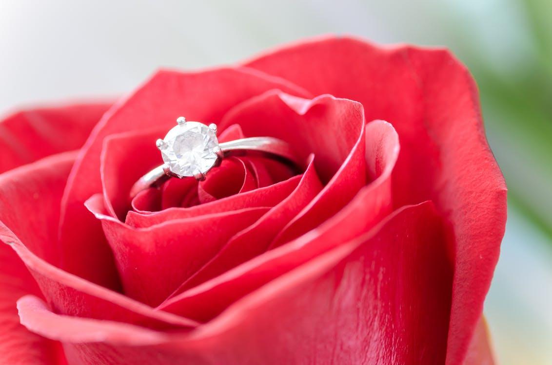 Diamond & Roses Wallpapers - Top Free Diamond & Roses Backgrounds ...