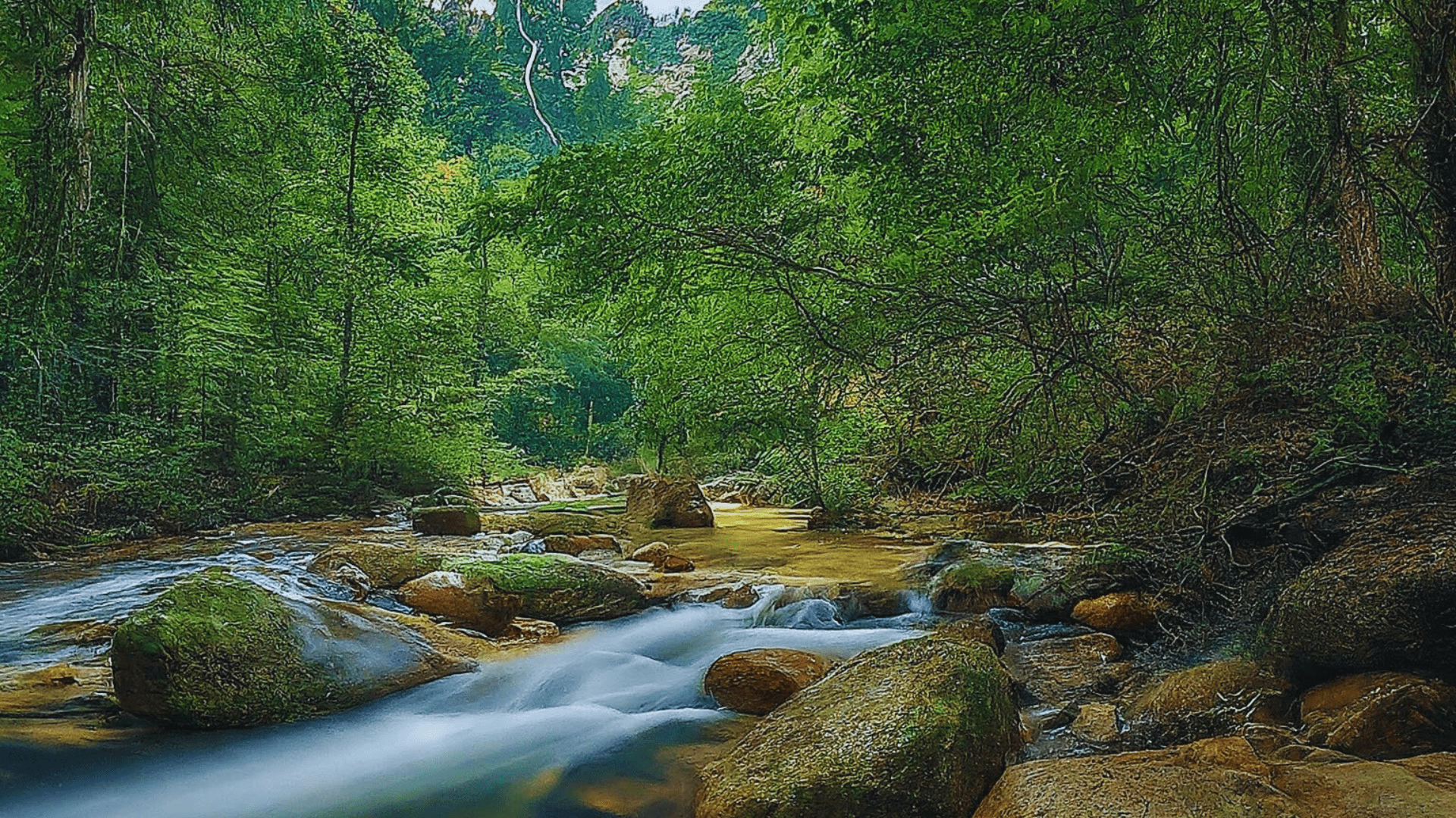 Sungai Wallpapers - Top Free Sungai Backgrounds - WallpaperAccess