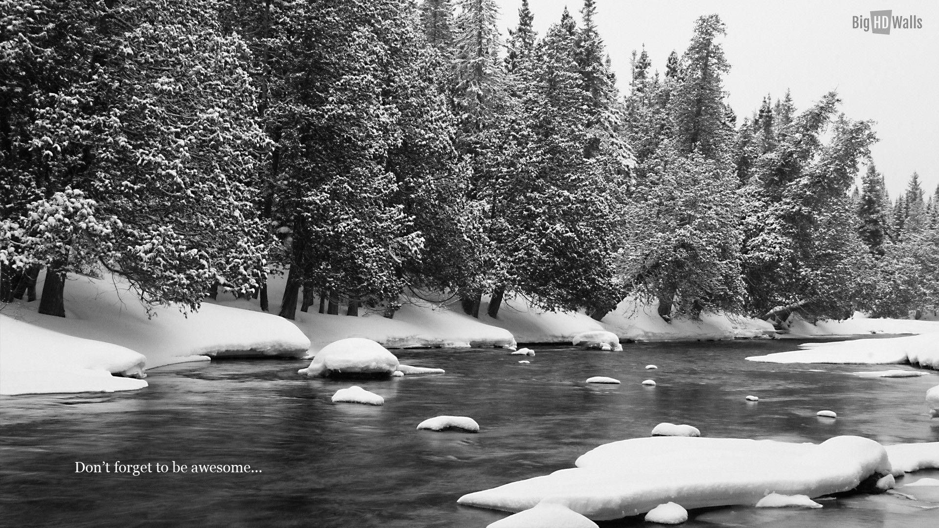 Black and White Winter Wallpapers - Top Free Black and White Winter ...