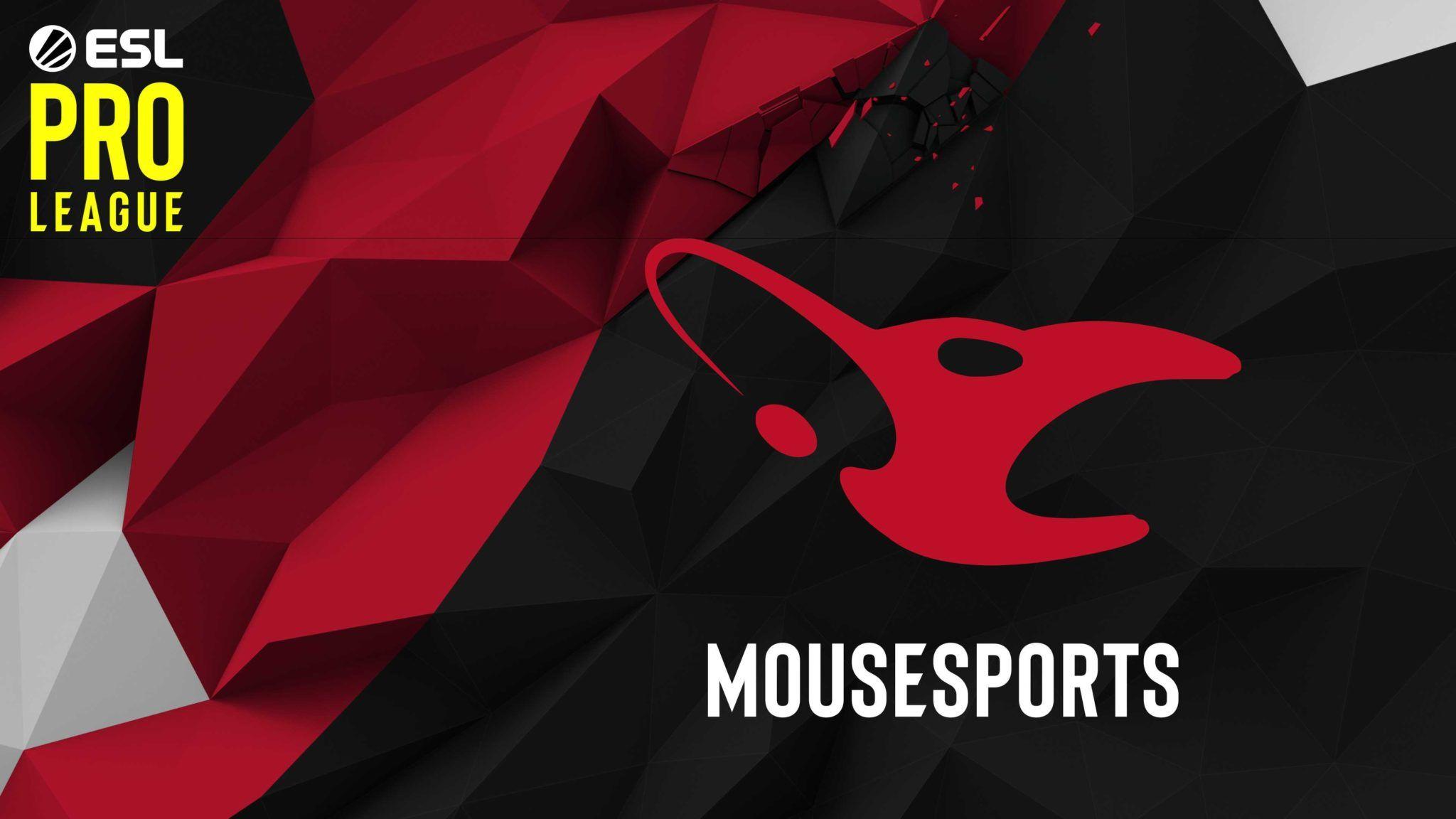 MiBR Wallpapers - Top Free MiBR Backgrounds - WallpaperAccess