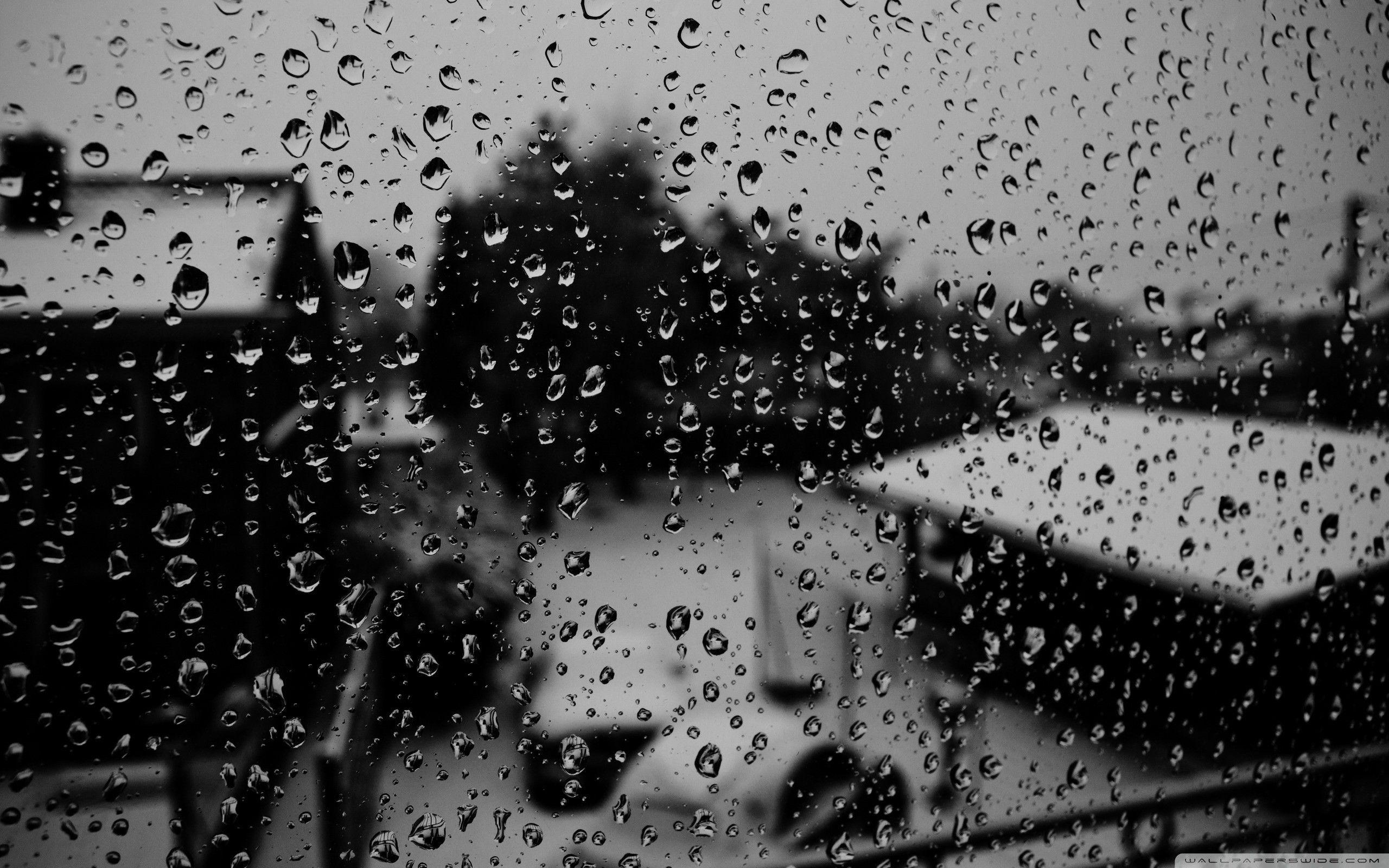 Rain Drop Wallpapers - Top Free Rain Drop Backgrounds - WallpaperAccess
