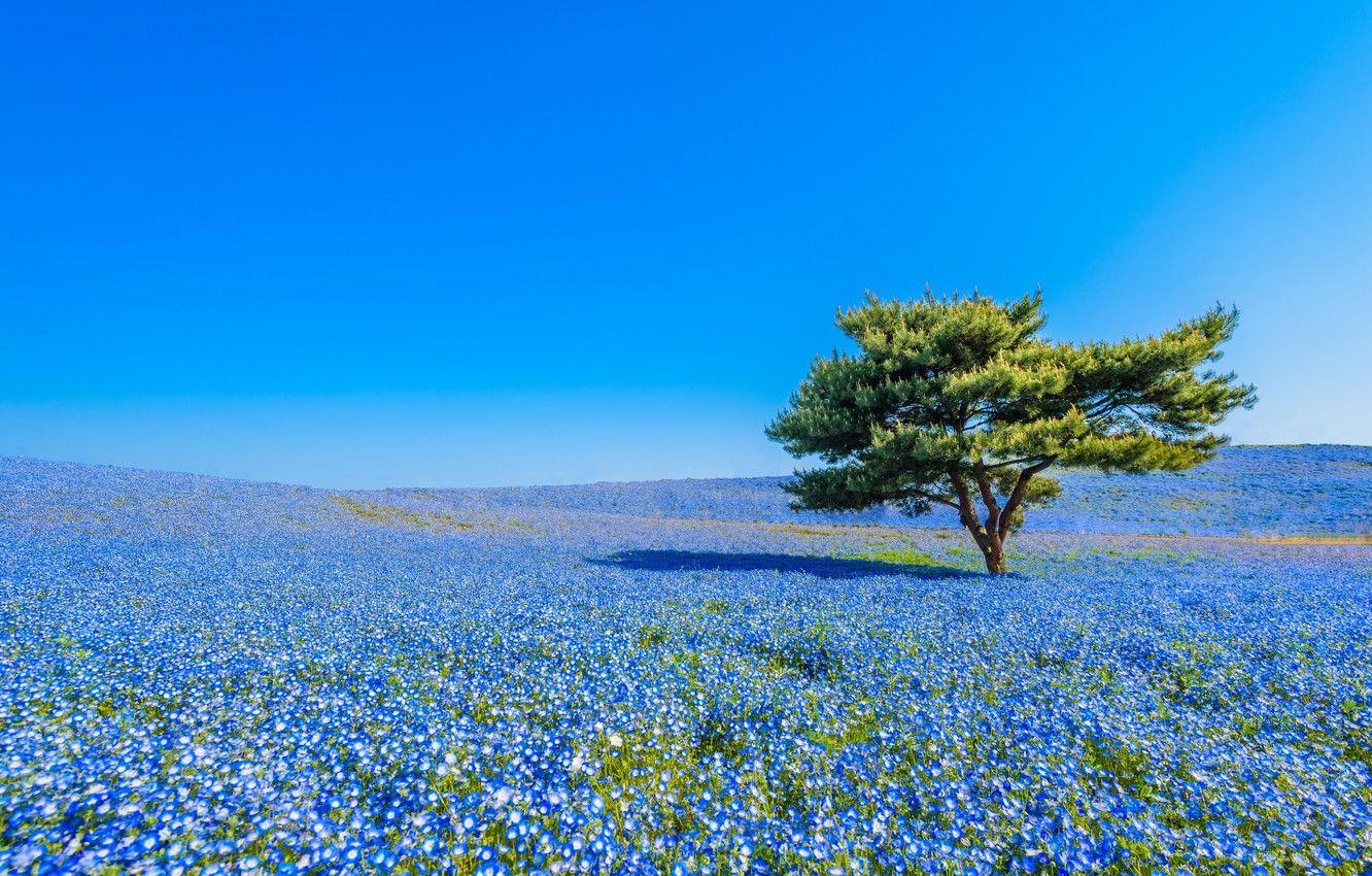Hitachi Wallpapers - Top Free Hitachi Backgrounds - WallpaperAccess