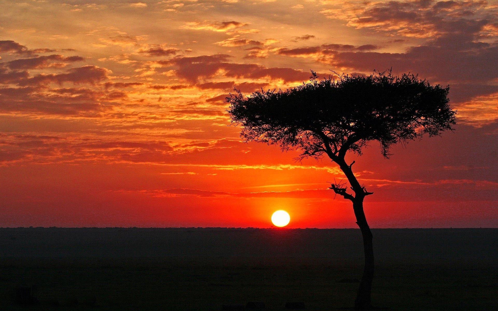 African Landscape Wallpapers - Top Free African Landscape Backgrounds ...