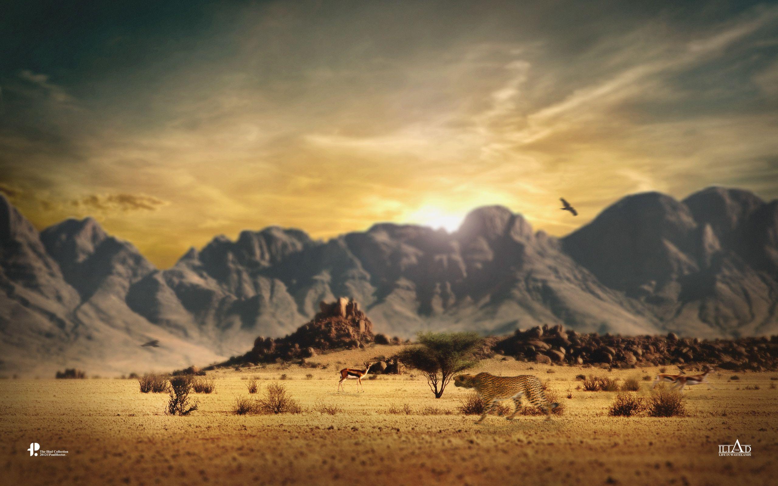 African Landscape Wallpapers - Top Free African Landscape Backgrounds ...