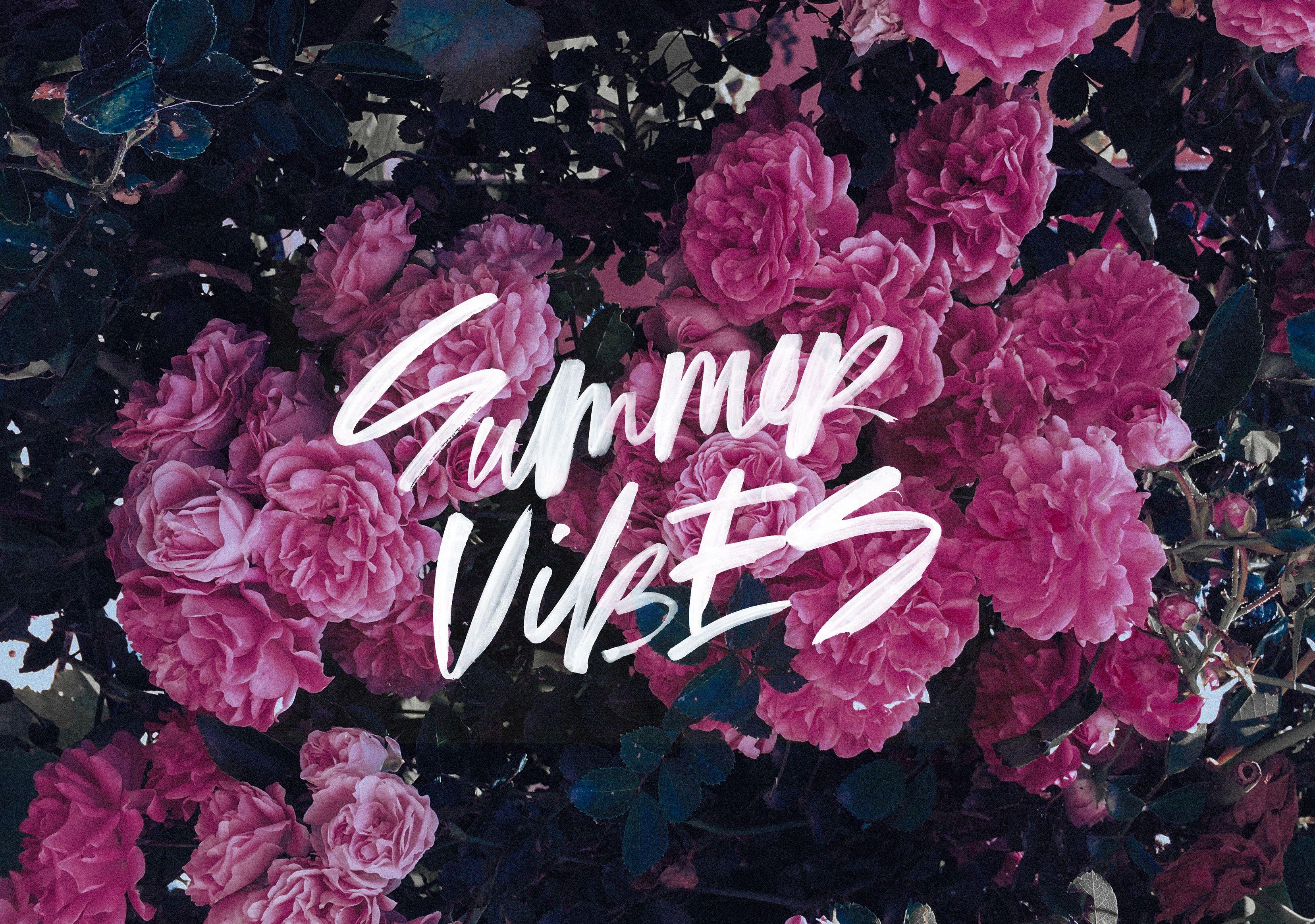 Vibes Wallpapers - Top Free Vibes Backgrounds - WallpaperAccess
