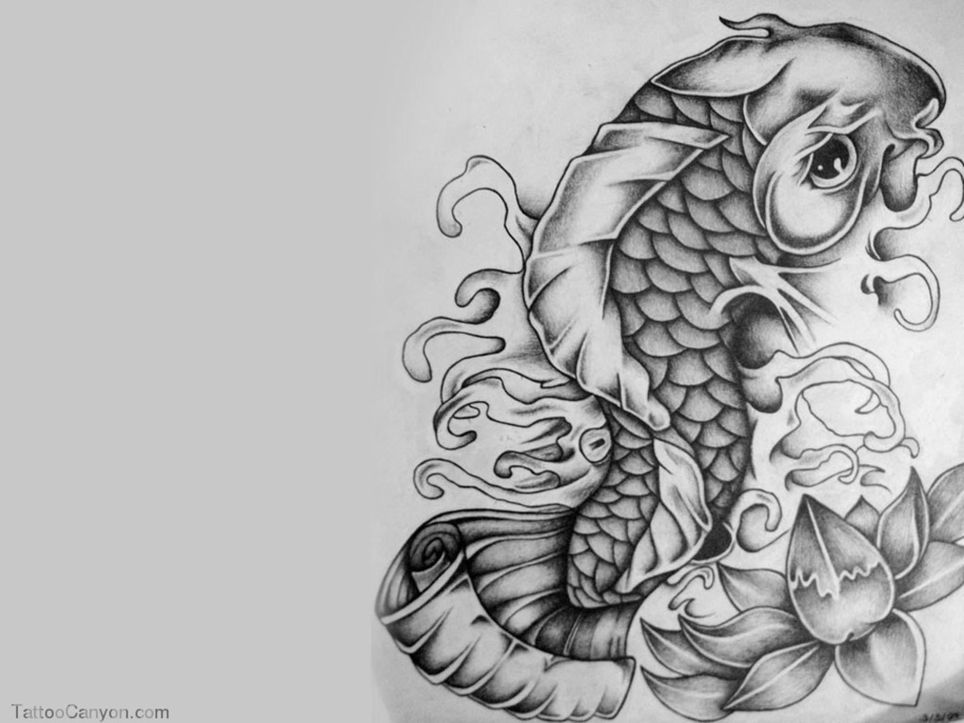 Koi Desktop Wallpapers - Top Free Koi Desktop Backgrounds - WallpaperAccess